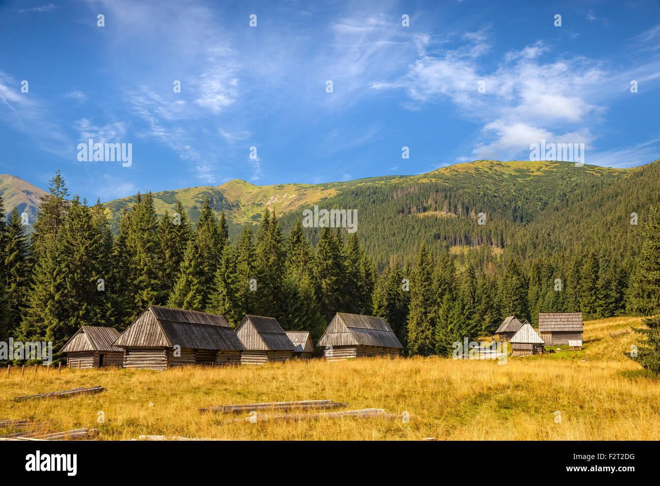 Traditional polish hut in hi-res stock photography and images - Alamy