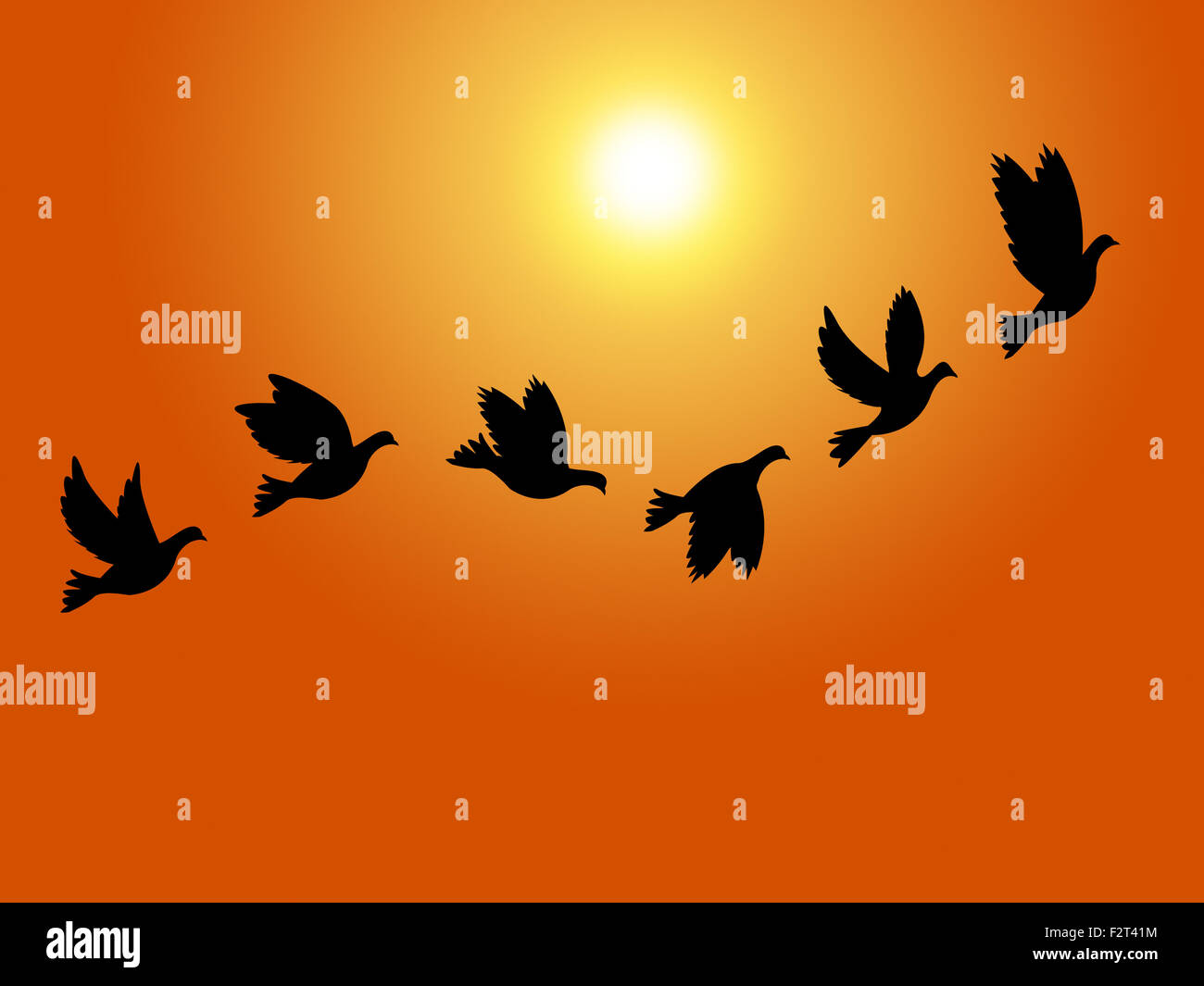 Flying Birds Indicating Summer Time And Warm Stock Photo - Alamy