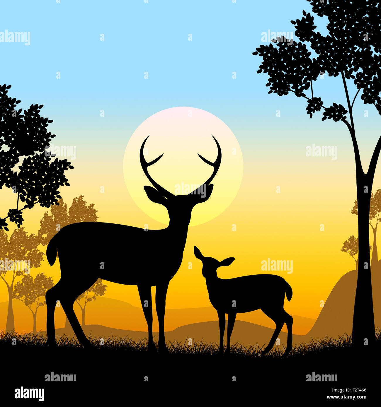 Meaning of nature reserve hi-res stock photography and images - Alamy