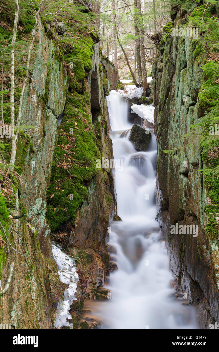 Small gorge along Cascade Brook in the Flume Gorge Scenic Area in ...