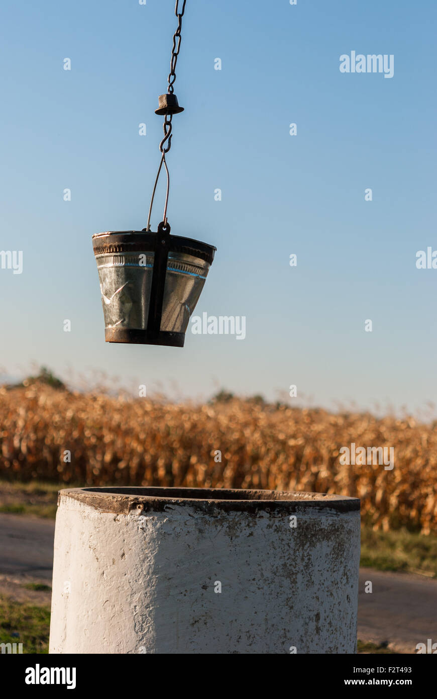 Parts of the shadoof (swape, well pole, well sweep) closeup with the ...