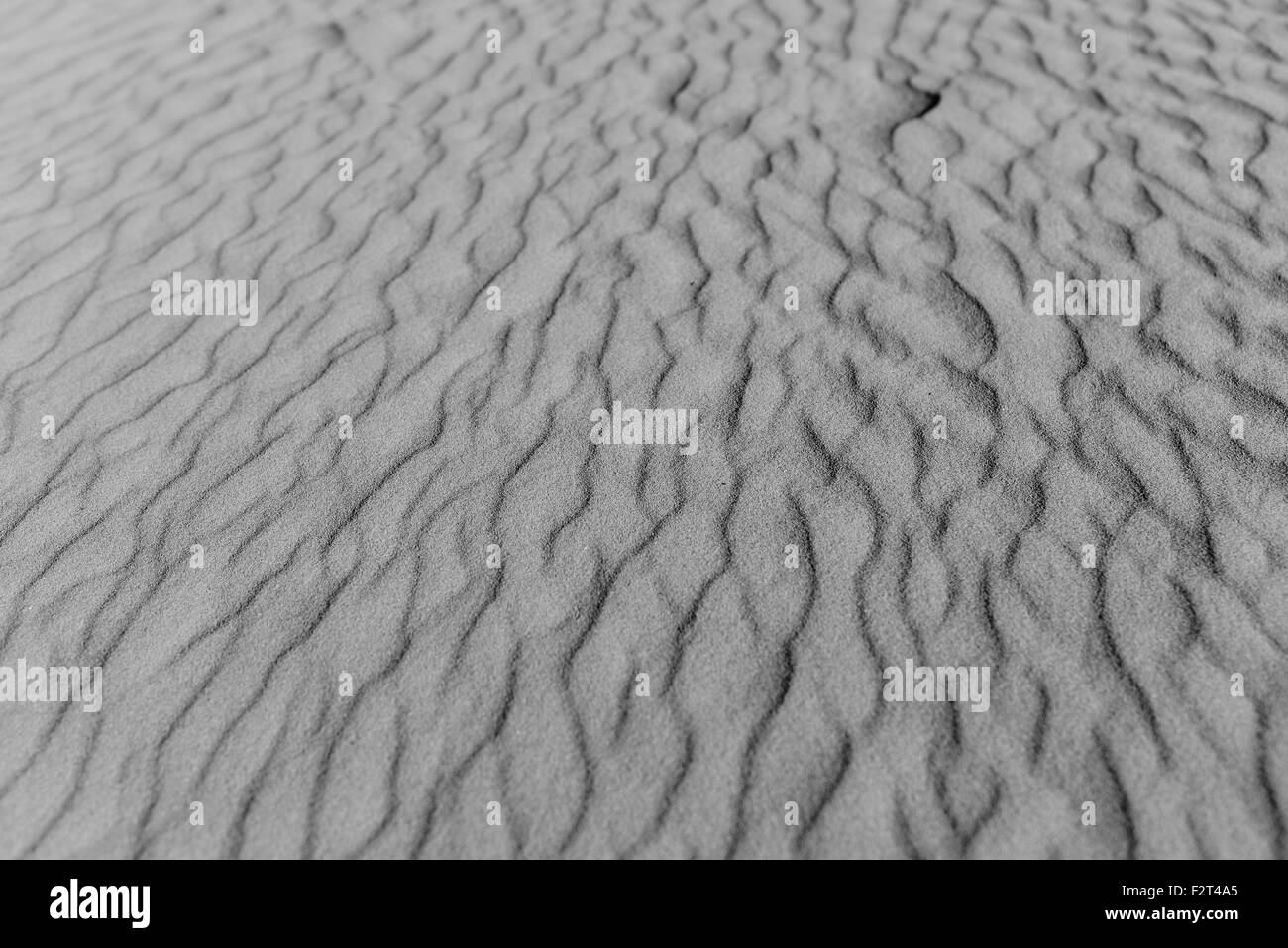 Desert background - Sahara in Morocco near to Merzouga Stock Photo - Alamy