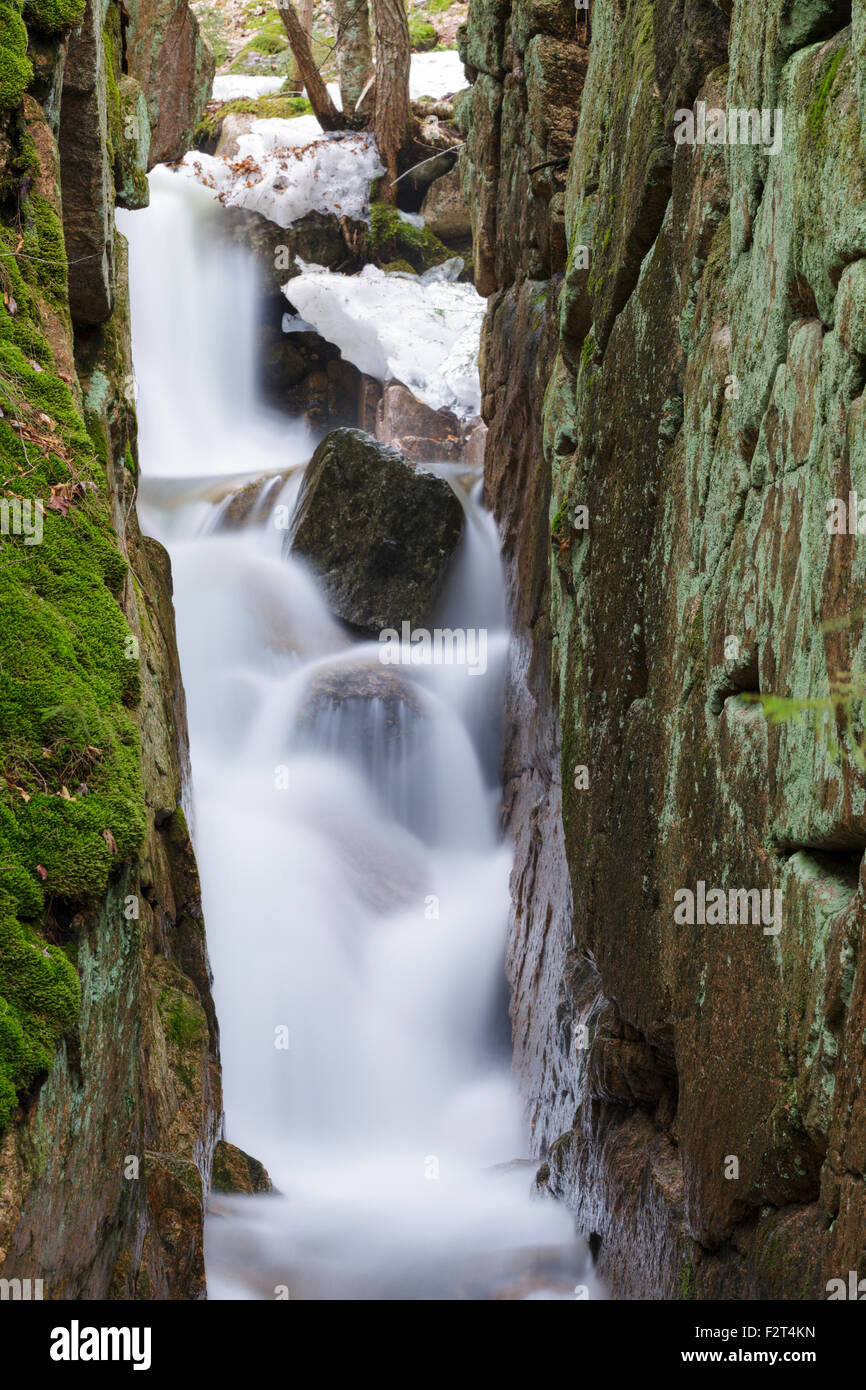 Small gorge along Cascade Brook in the Flume Gorge Scenic Area in ...