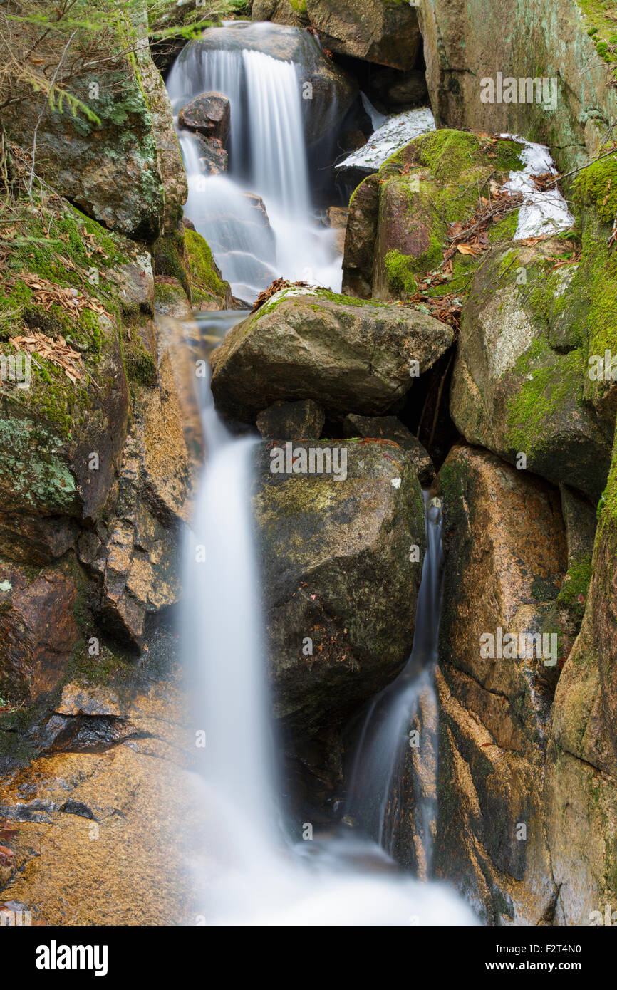Small gorge along Cascade Brook in the Flume Gorge Scenic Area in ...