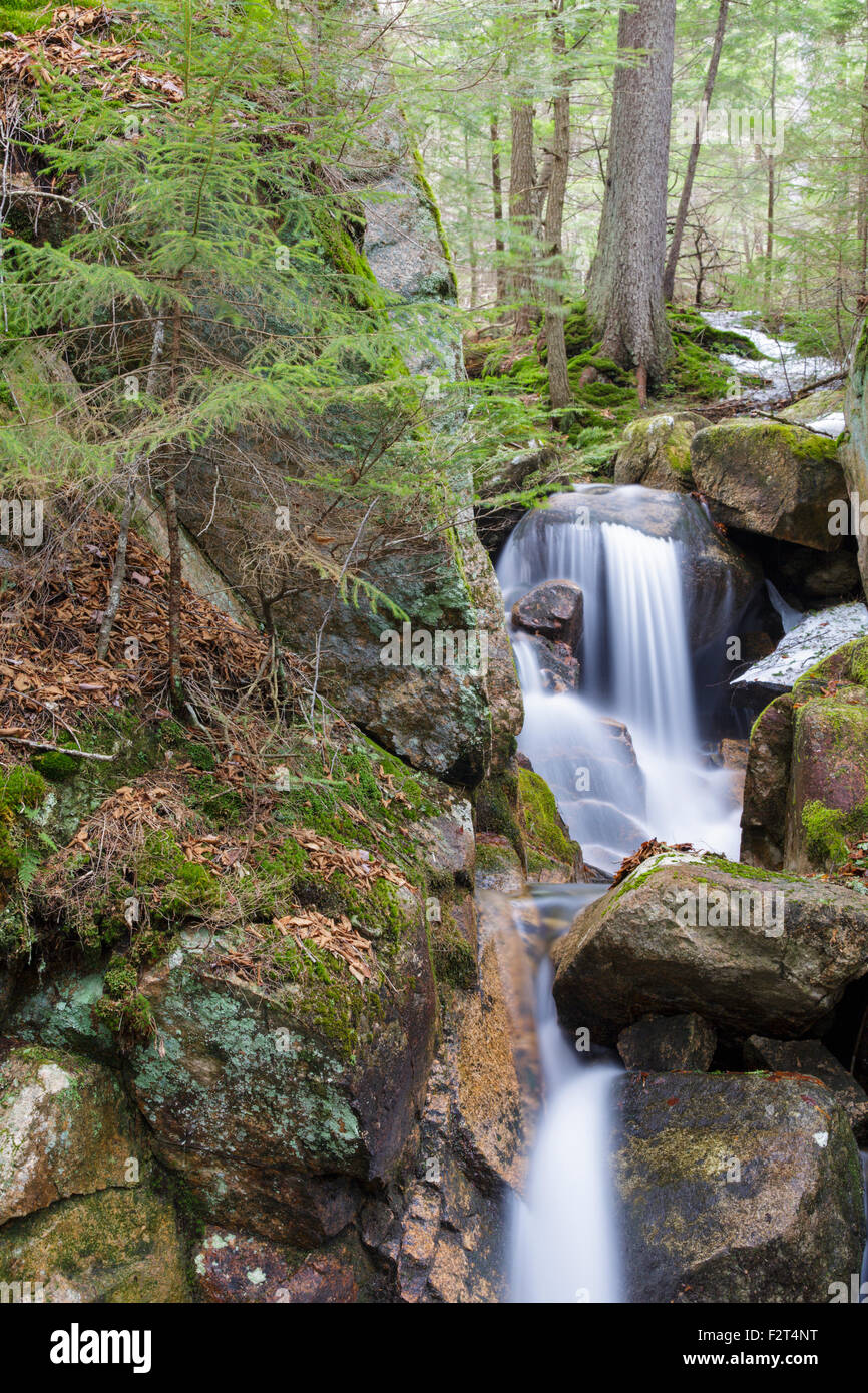 Small gorge along Cascade Brook in the Flume Gorge Scenic Area in ...