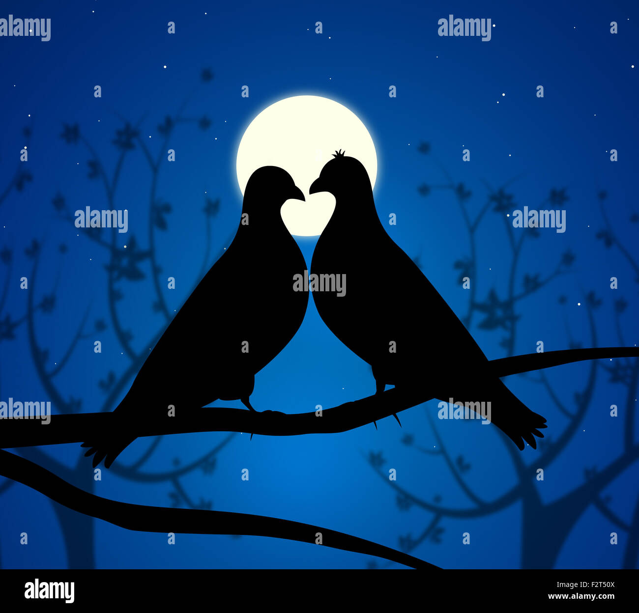 Love Birds Representing Wildlife Passion And Devotion Stock Photo - Alamy