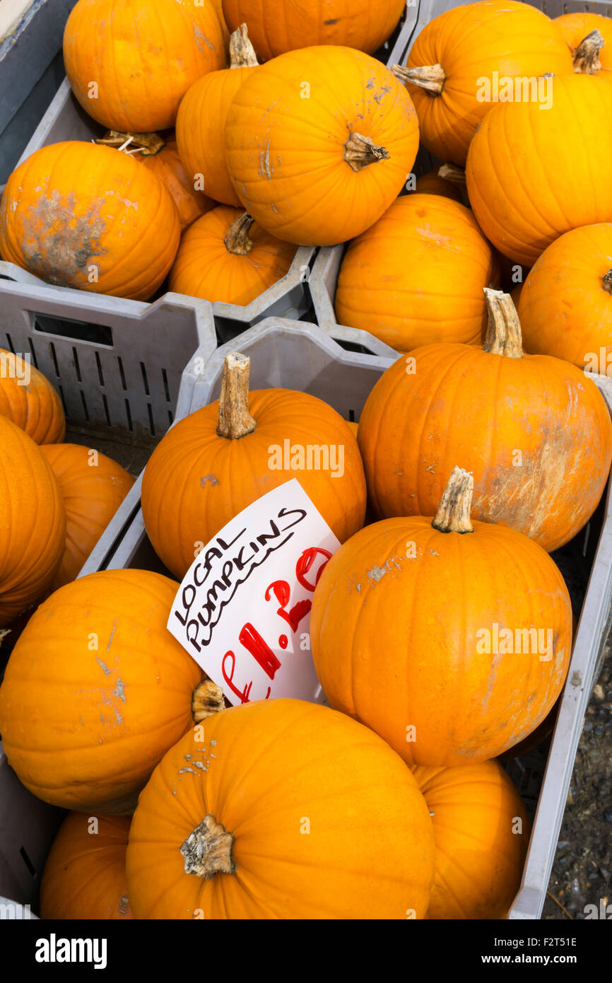 Pumpkins for sale sign hi-res stock photography and images - Alamy