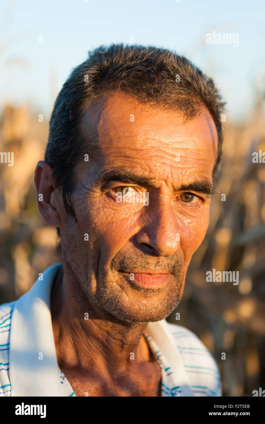 Romanian farmer hi-res stock photography and images - Alamy