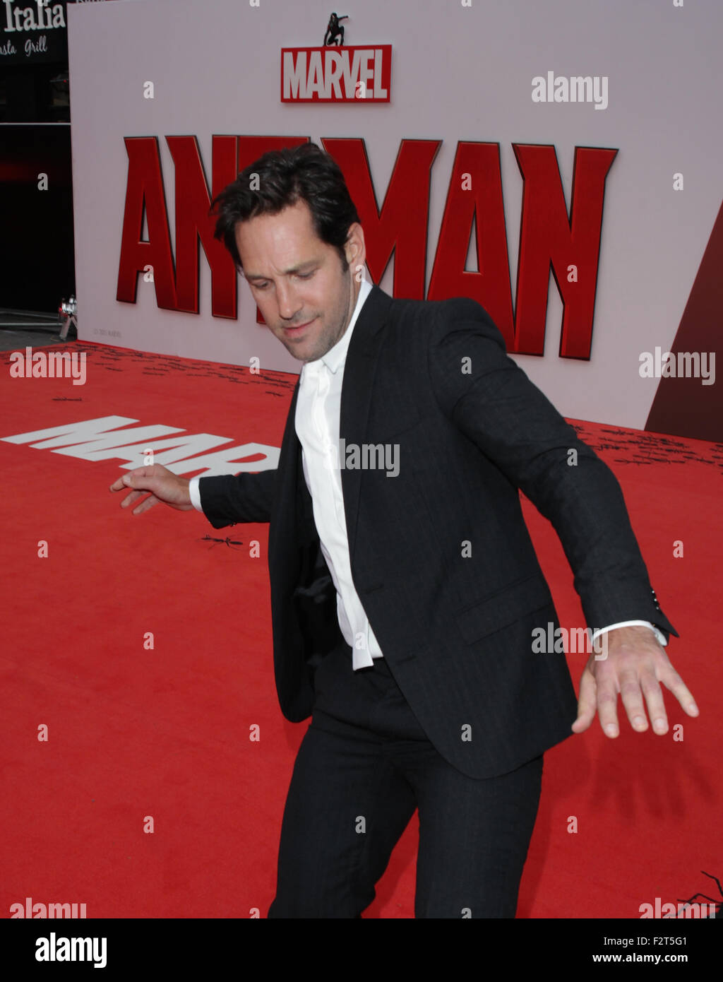 LONDON, UK, 8th July 2015: Paul Rudd attends the Ant-Man - European ...