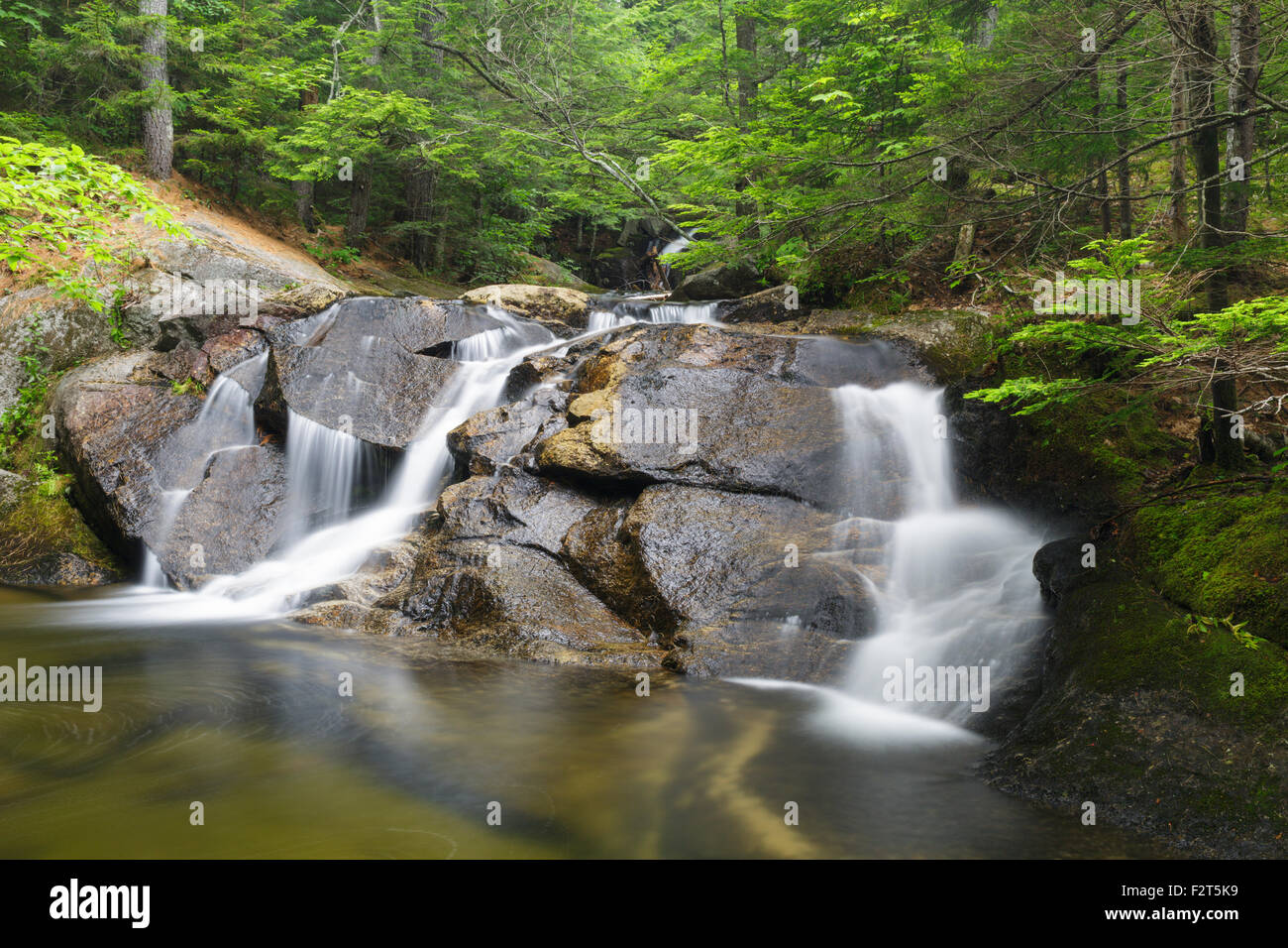Bearcamp River in Sandwich Notch in Sandwich, New Hampshire USA during ...