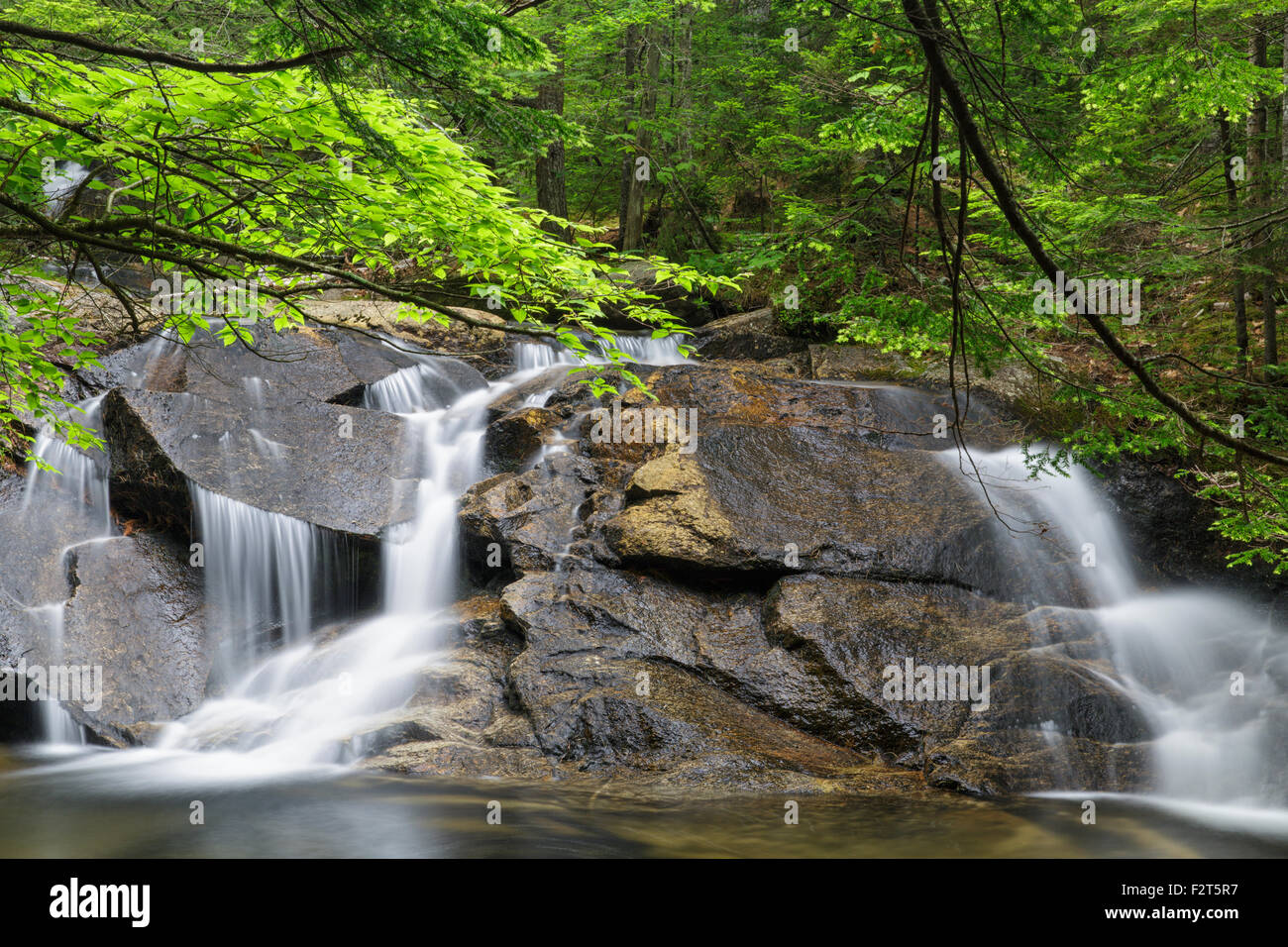 Bearcamp River in Sandwich Notch in Sandwich, New Hampshire USA during ...