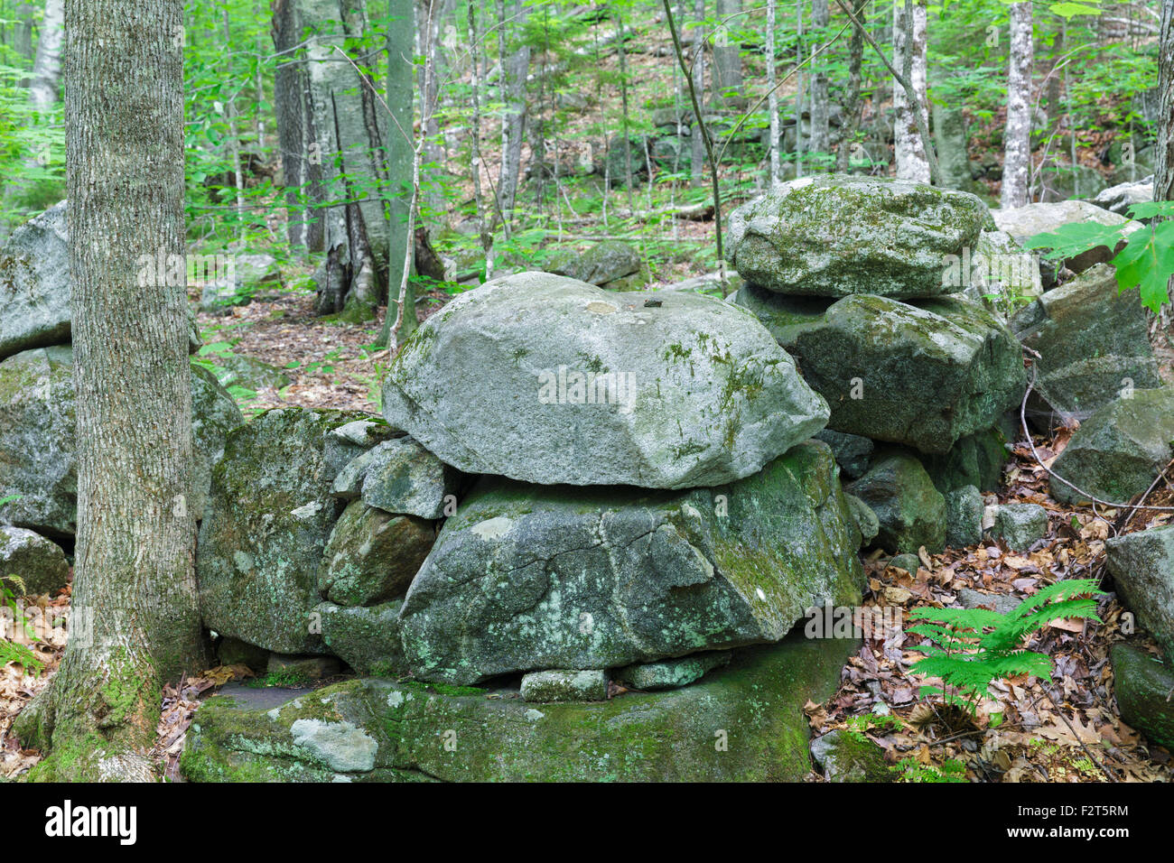 Colonel Lewis B. Smith site in Sandwich Notch in Sandwich, New ...