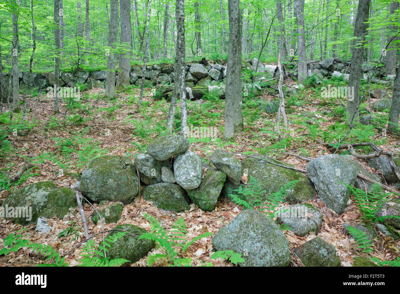 Colonel Lewis B. Smith site in Sandwich Notch in Sandwich, New ...