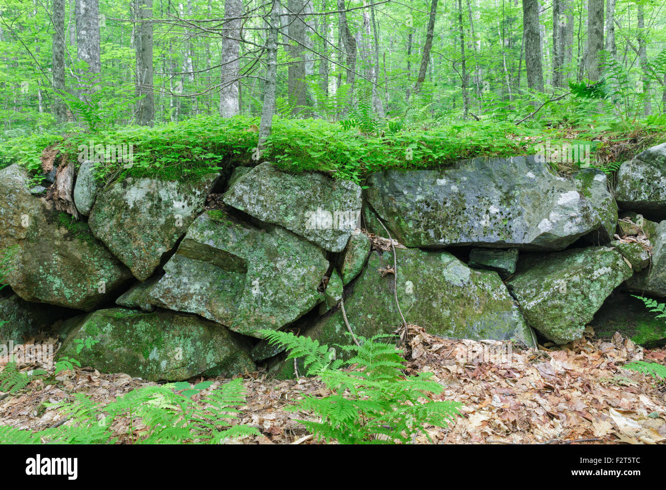 Colonel Lewis B. Smith site in Sandwich Notch in Sandwich, New ...