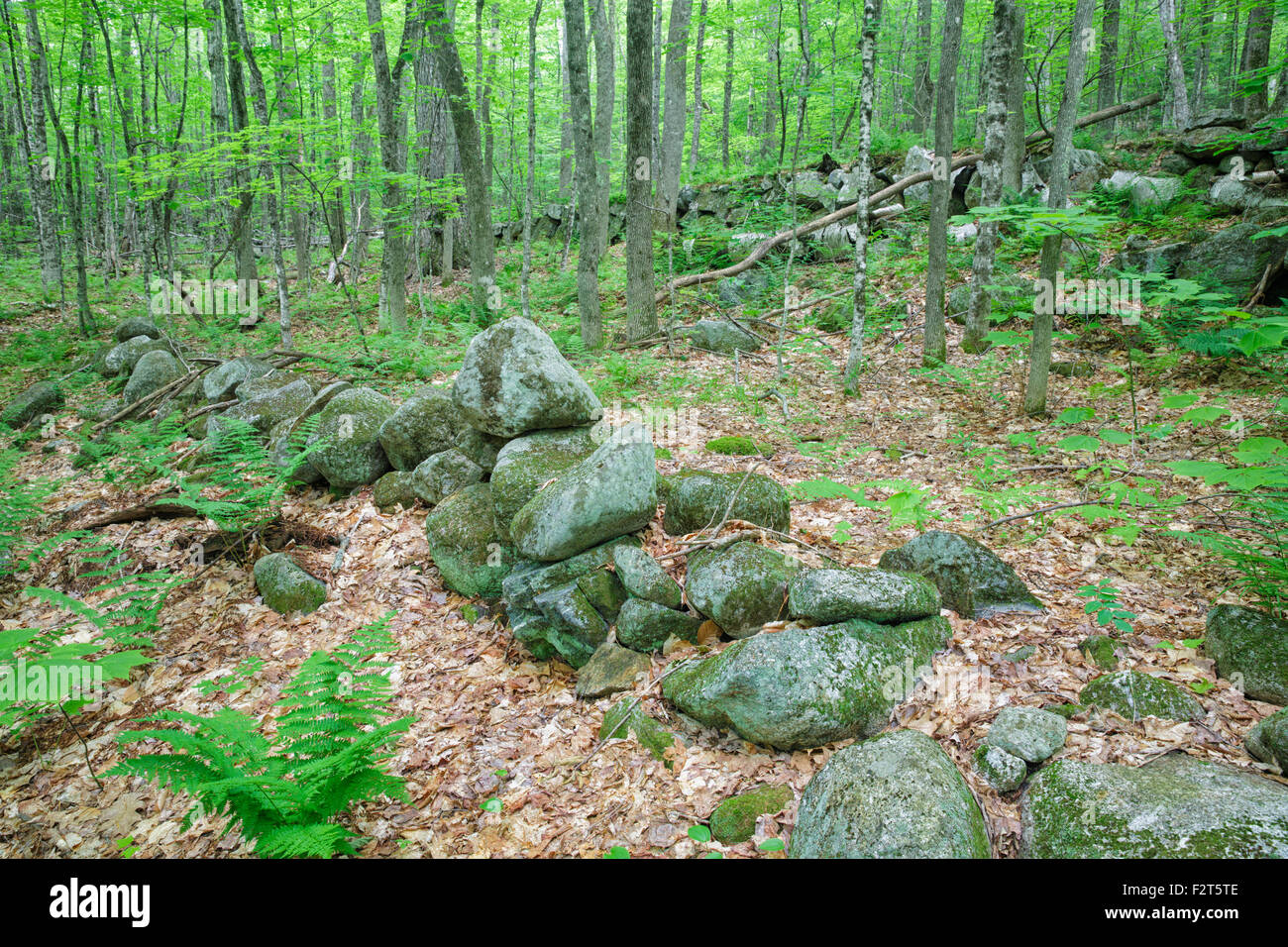 Colonel Lewis B. Smith site in Sandwich Notch in Sandwich, New ...