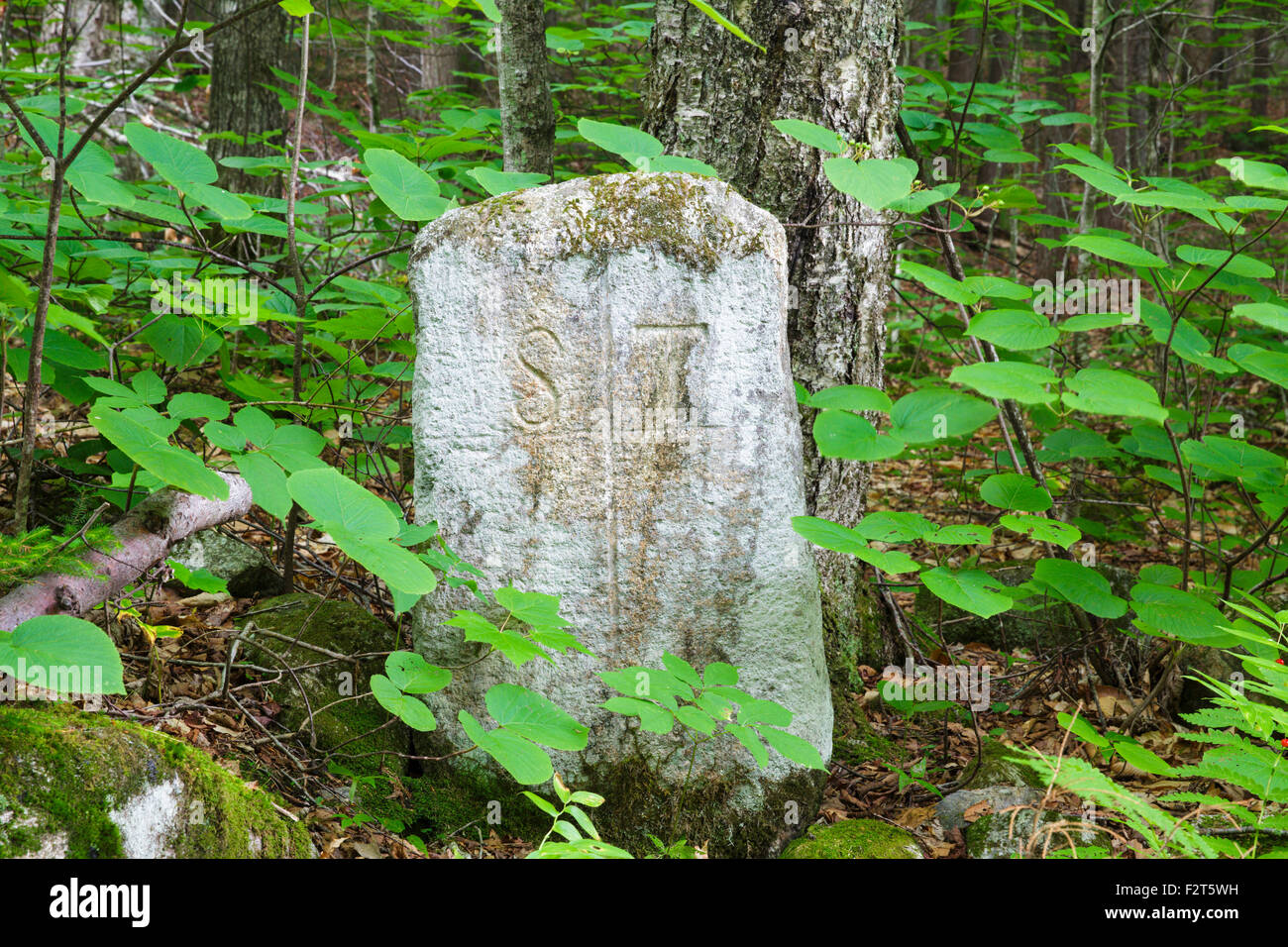 Thornton/Sandwich town line monument along Sandwich Notch Road in New ...