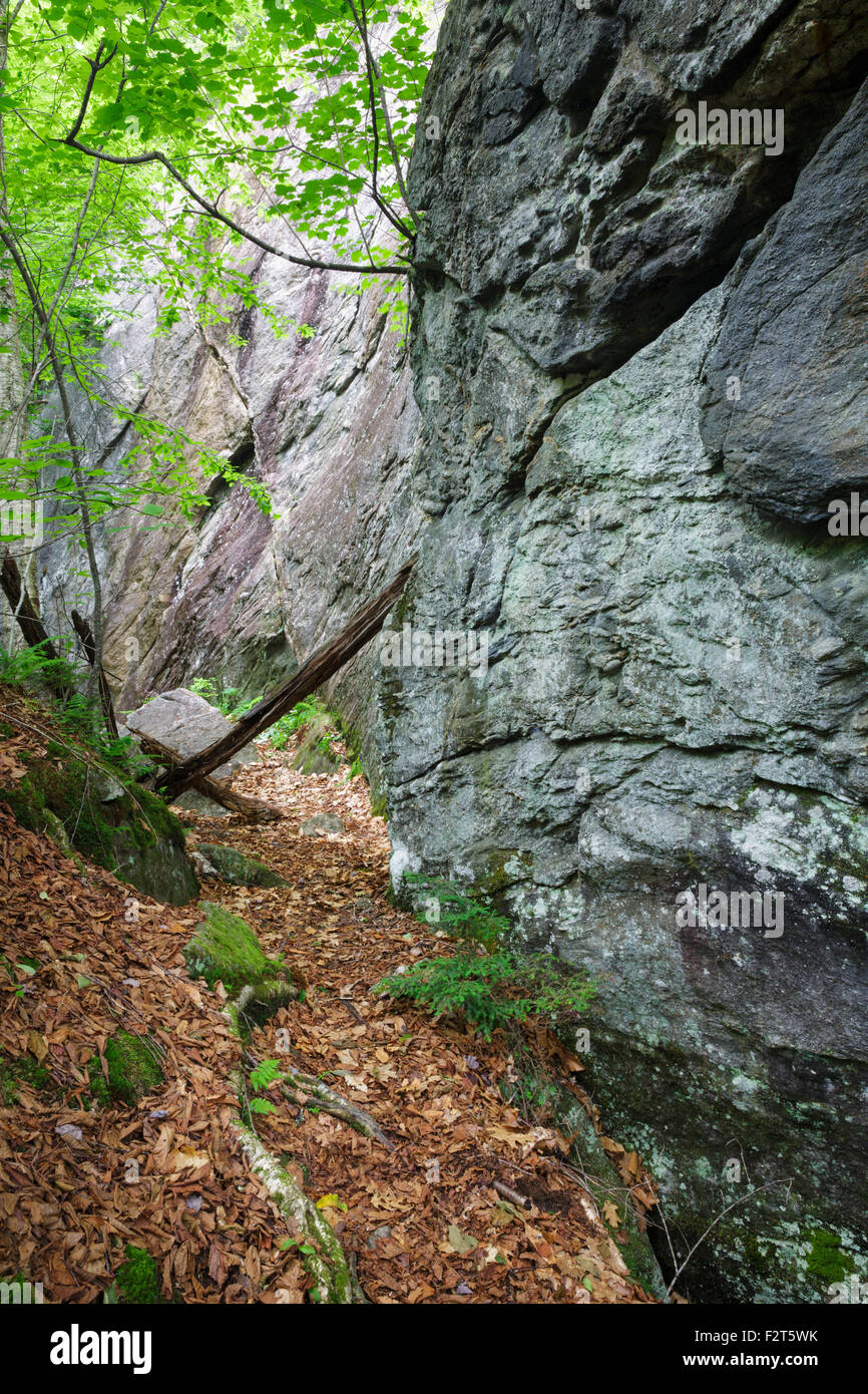 Typical landscape of Sandwich Notch, along Sandwich Notch Road, in ...