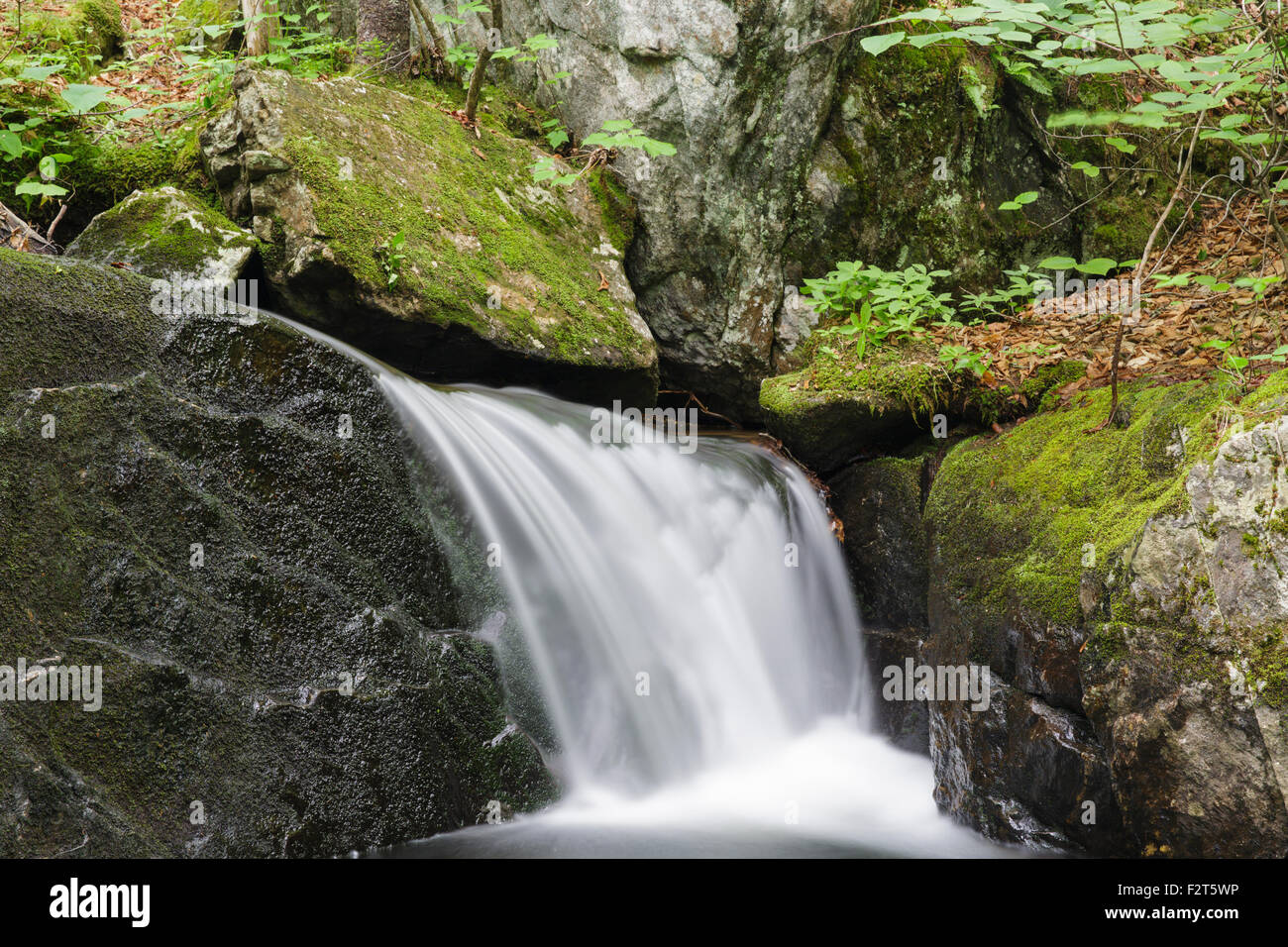 Bearcamp River in Sandwich Notch in Sandwich, New Hampshire USA during ...