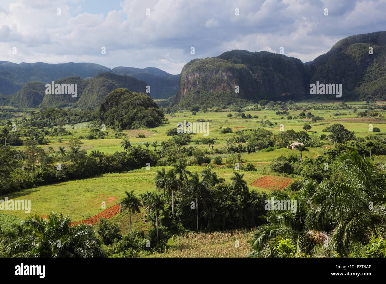 Pinar del rio cuba hi-res stock photography and images - Alamy