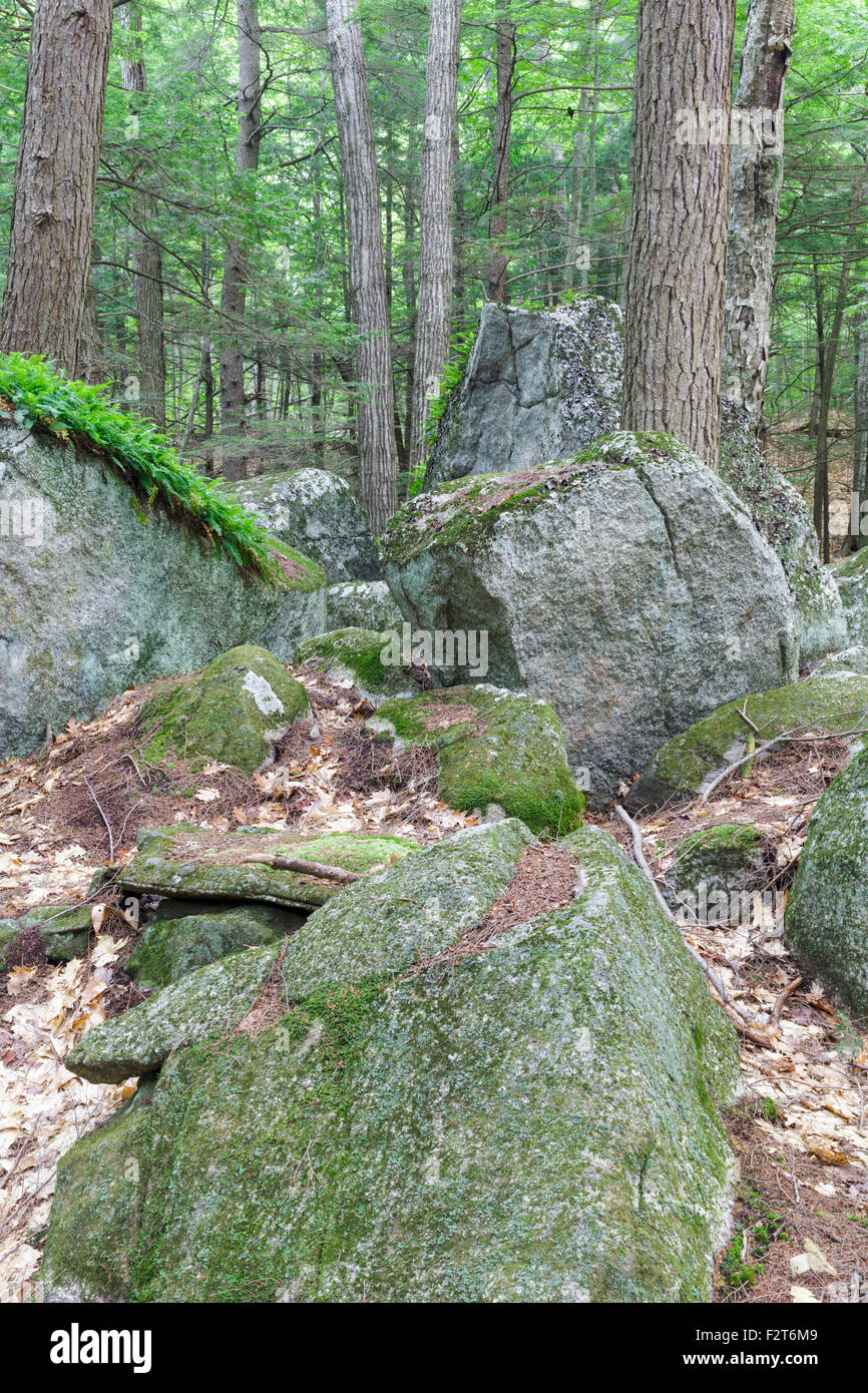 Typical landscape of Sandwich Notch, along Sandwich Notch Road, in ...