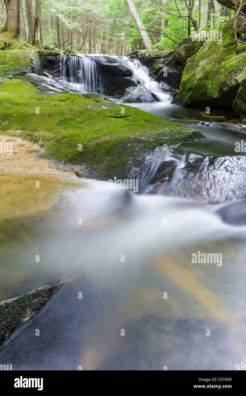 Bearcamp River in Sandwich Notch in Sandwich, New Hampshire USA during ...