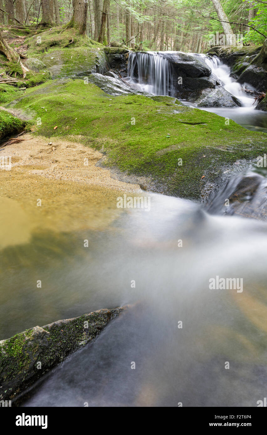 Bearcamp River in Sandwich Notch in Sandwich, New Hampshire USA during ...