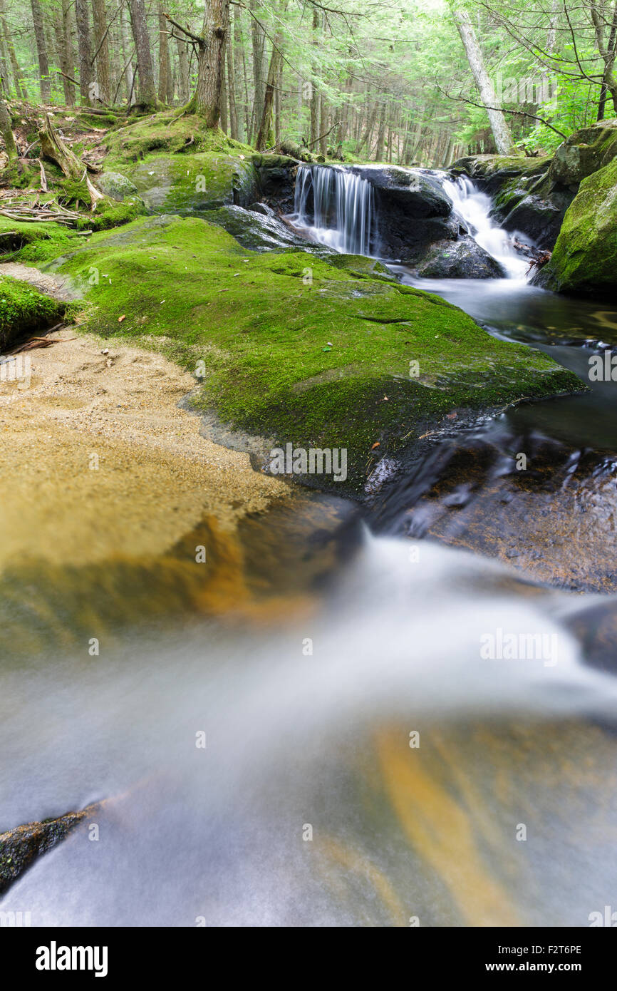 Bearcamp River in Sandwich Notch in Sandwich, New Hampshire USA during ...