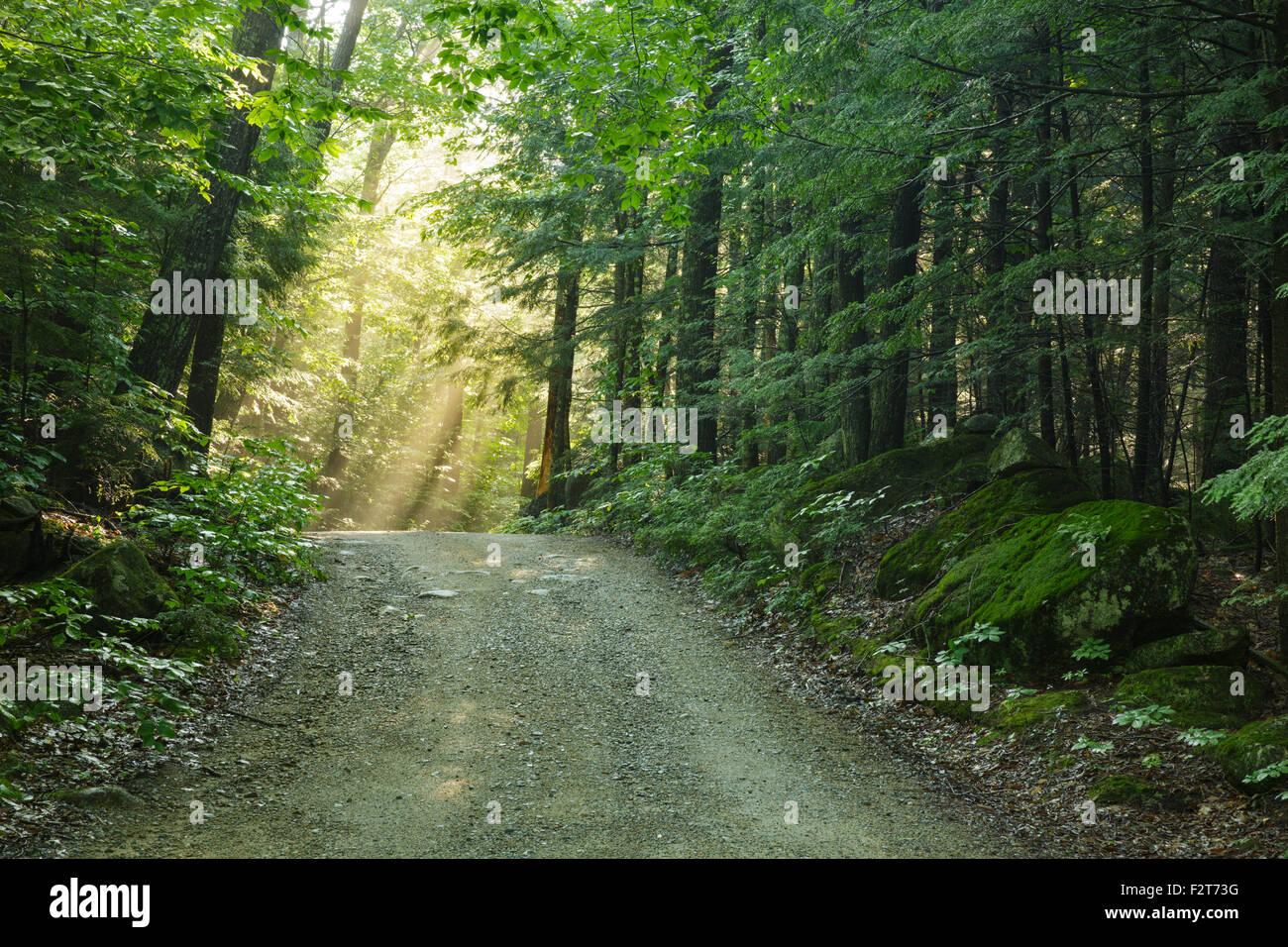 Sandwich Notch Road in Sandwich, New Hampshire USA during the summer ...
