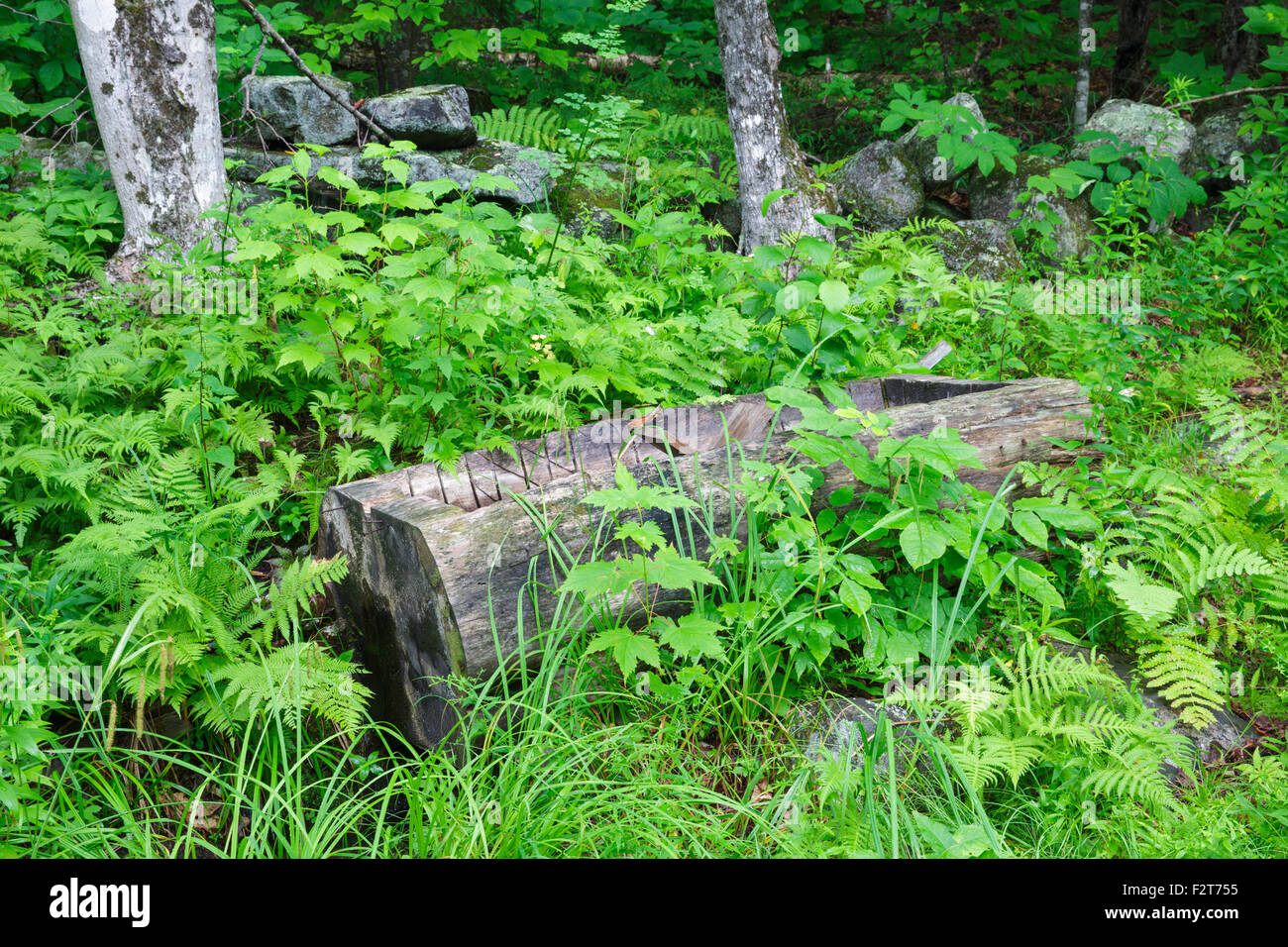 Sandwich Notch Road in Sandwich, New Hampshire USA during the summer ...