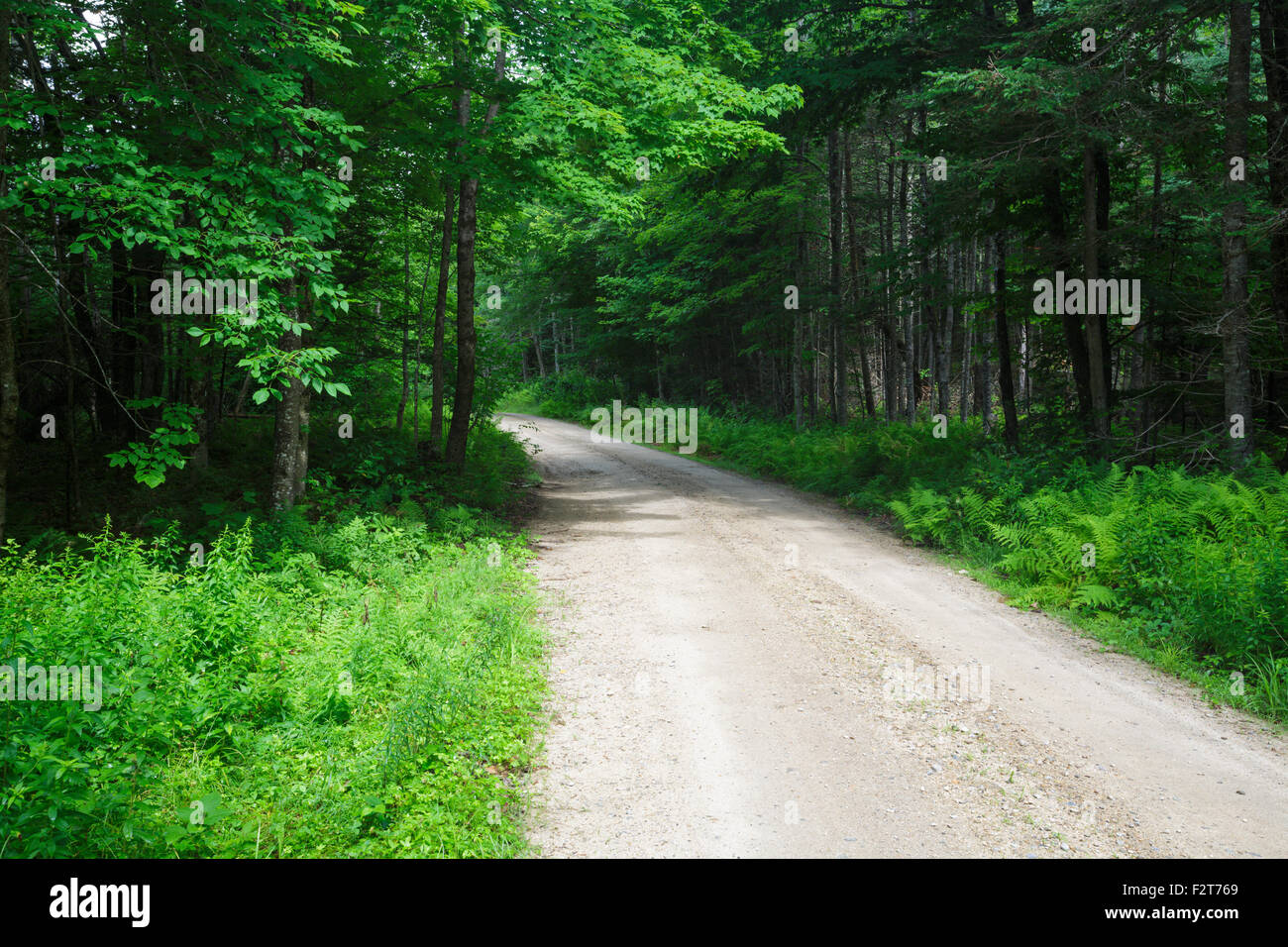 Sandwich Notch Road High Resolution Stock Photography and Images - Alamy