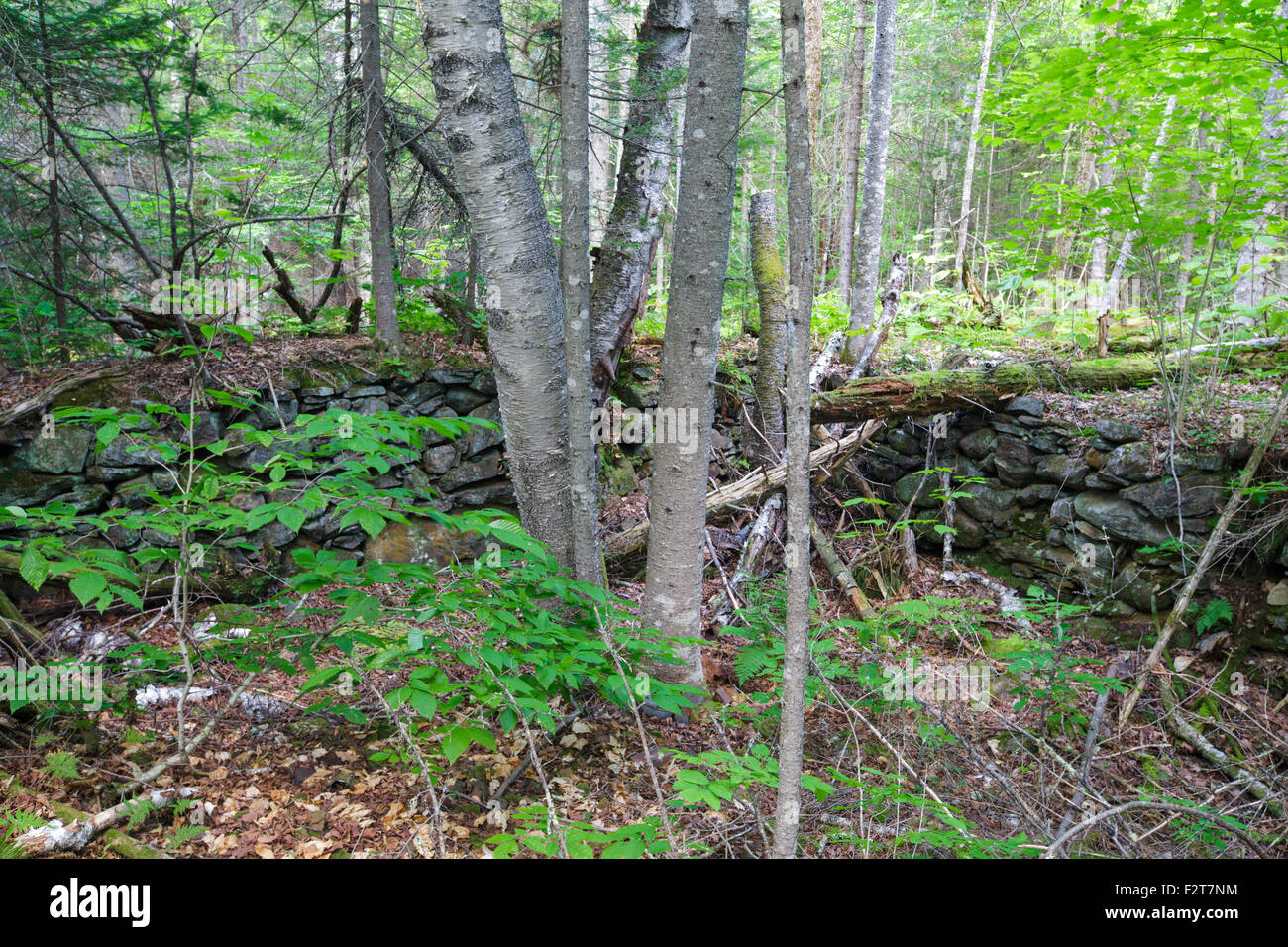 Sandwich Notch Road High Resolution Stock Photography and Images - Alamy