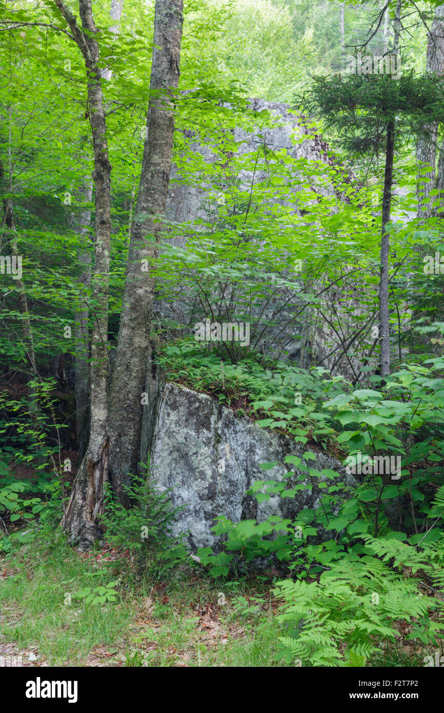 Sandwich Notch Road High Resolution Stock Photography and Images - Alamy