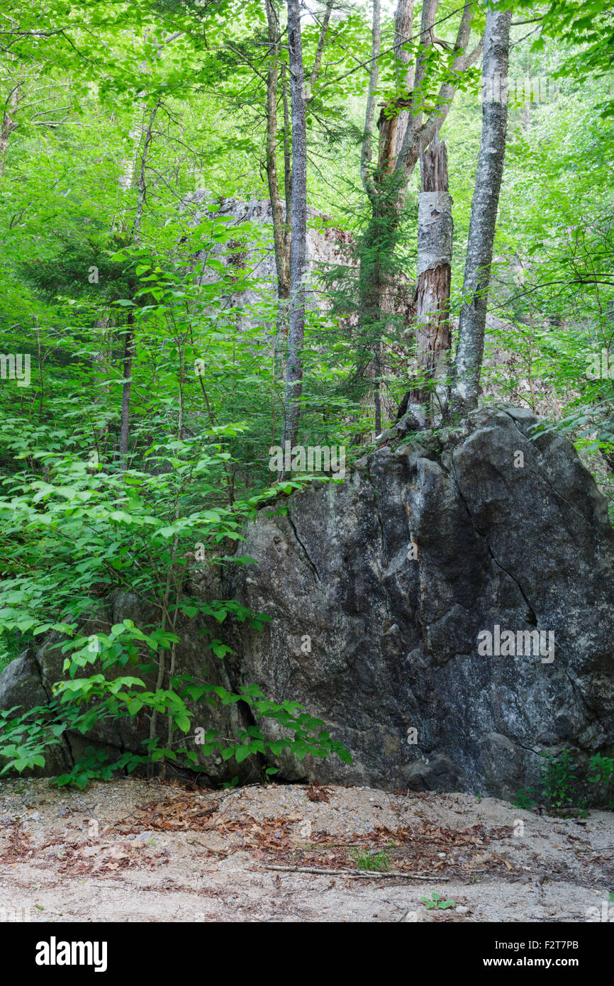 Pulpit Rock (in the back) along Sandwich Notch Road in Sandwich, New ...
