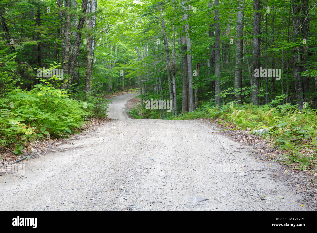 Sandwich Notch Road in Sandwich, New Hampshire USA during the summer ...