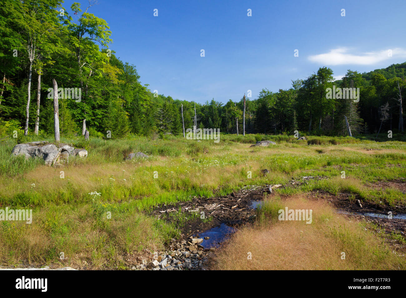 Possibly the location of the Hines Place along Sandwich Notch Road in ...