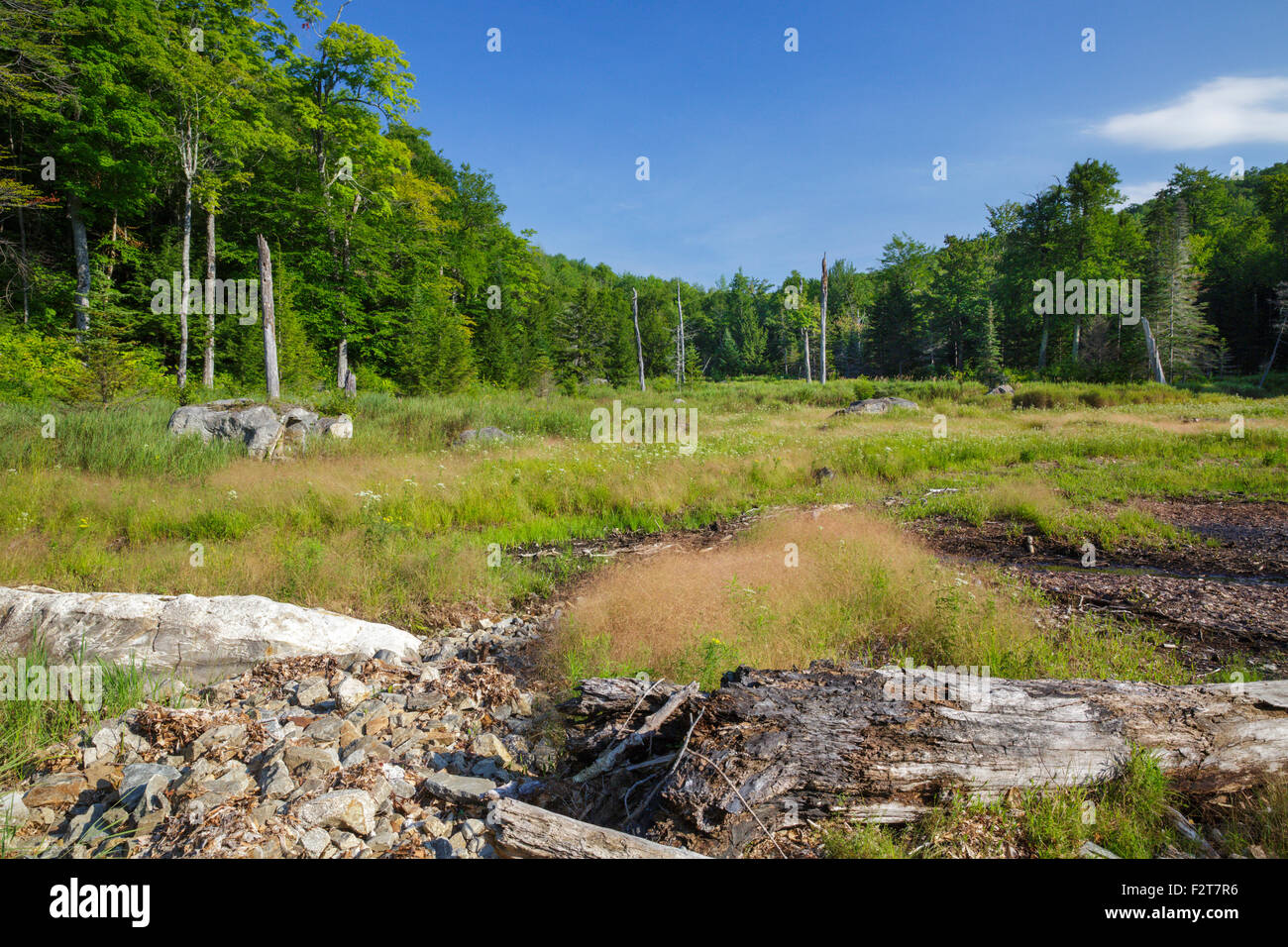 Possibly the location of the Hines Place along Sandwich Notch Road in ...