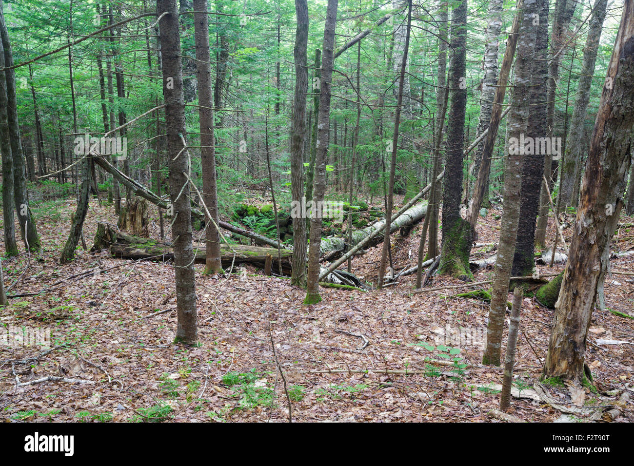 Sandwich Notch Road High Resolution Stock Photography and Images - Alamy