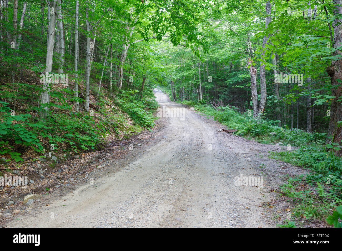 The Sandwich Notch Road, established in 1801, in Sandwich, New ...