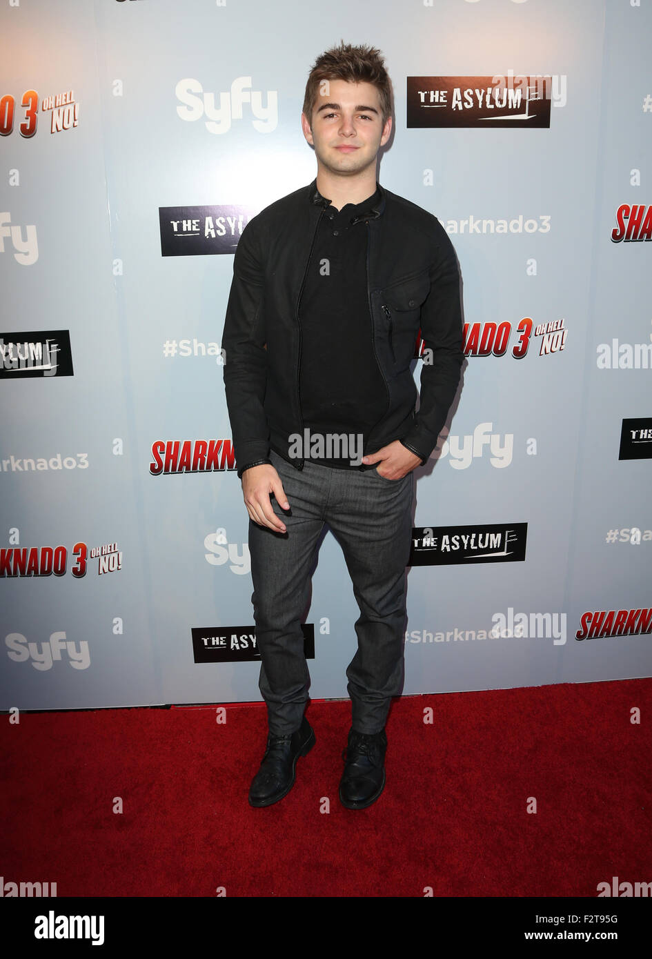 Los Angeles premiere of The Asylum's 'Sharknado 3: Oh Hell No ...