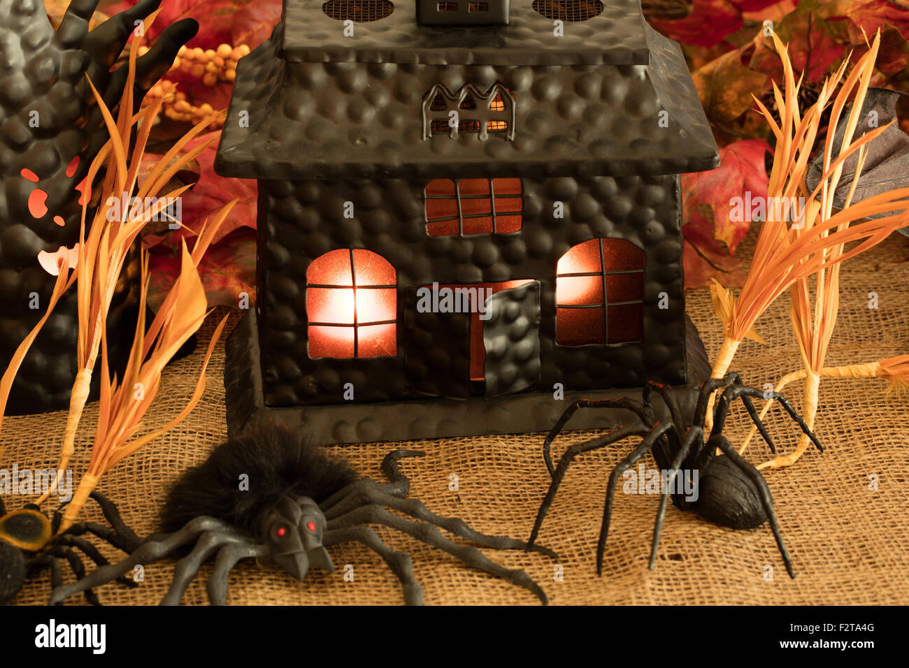 Scary house and tree, with spiders, rats and spooky characters Stock ...