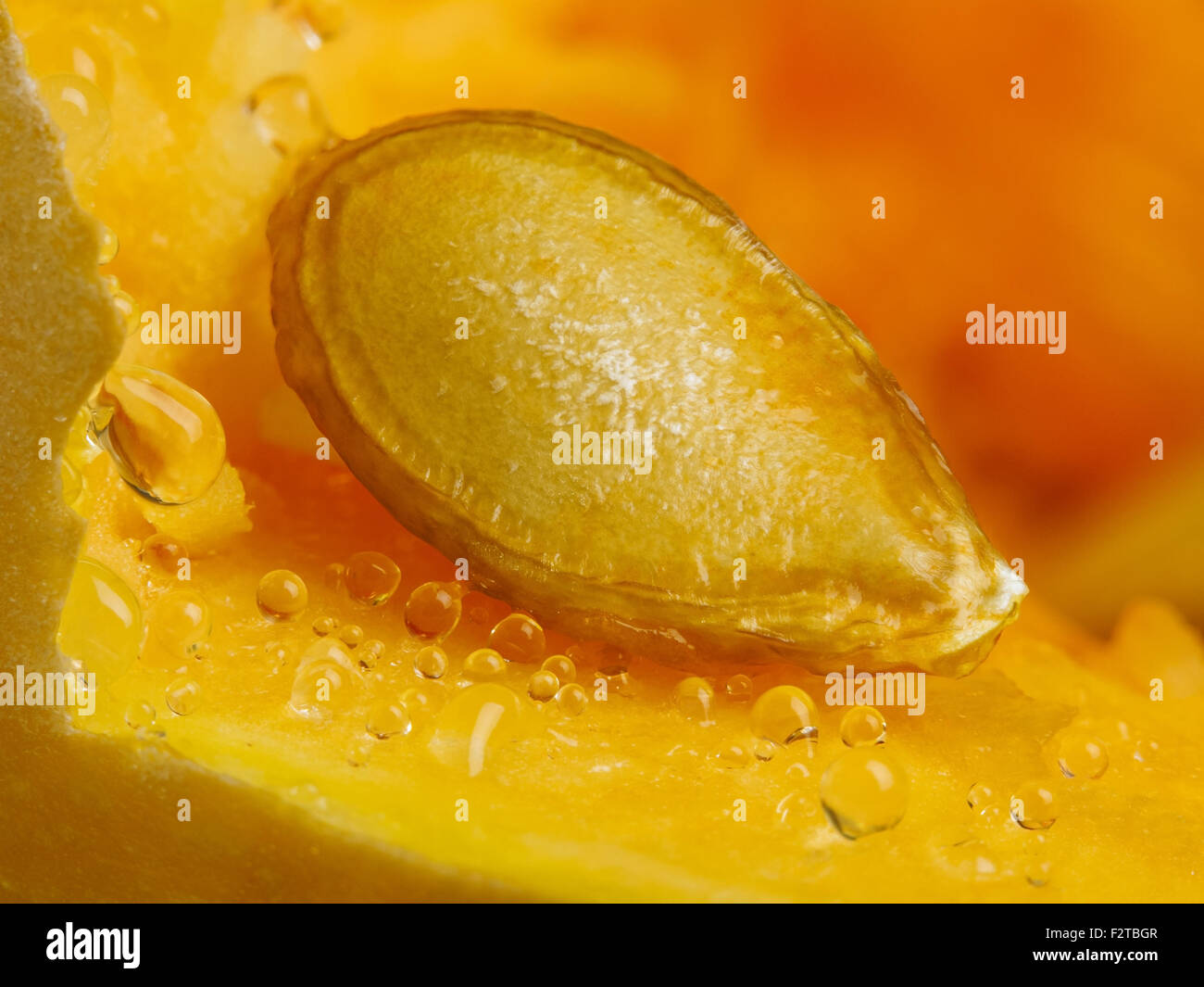 Pumpkin seed juice drops Stock Photo - Alamy