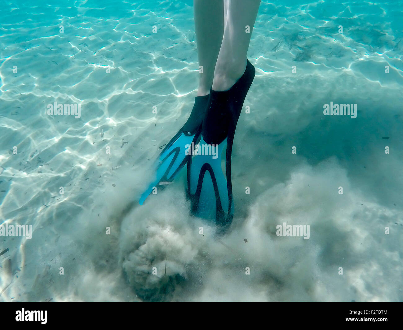 Flippers moving through water Stock Photo - Alamy