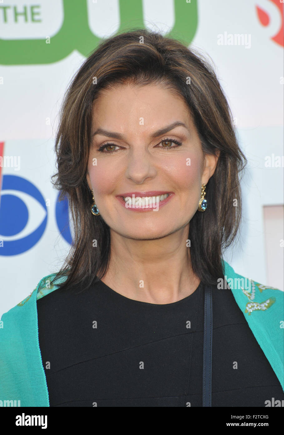 LOS ANGELES, CA - JULY 28, 2010: Sela Ward - star of "CSI: New York ...