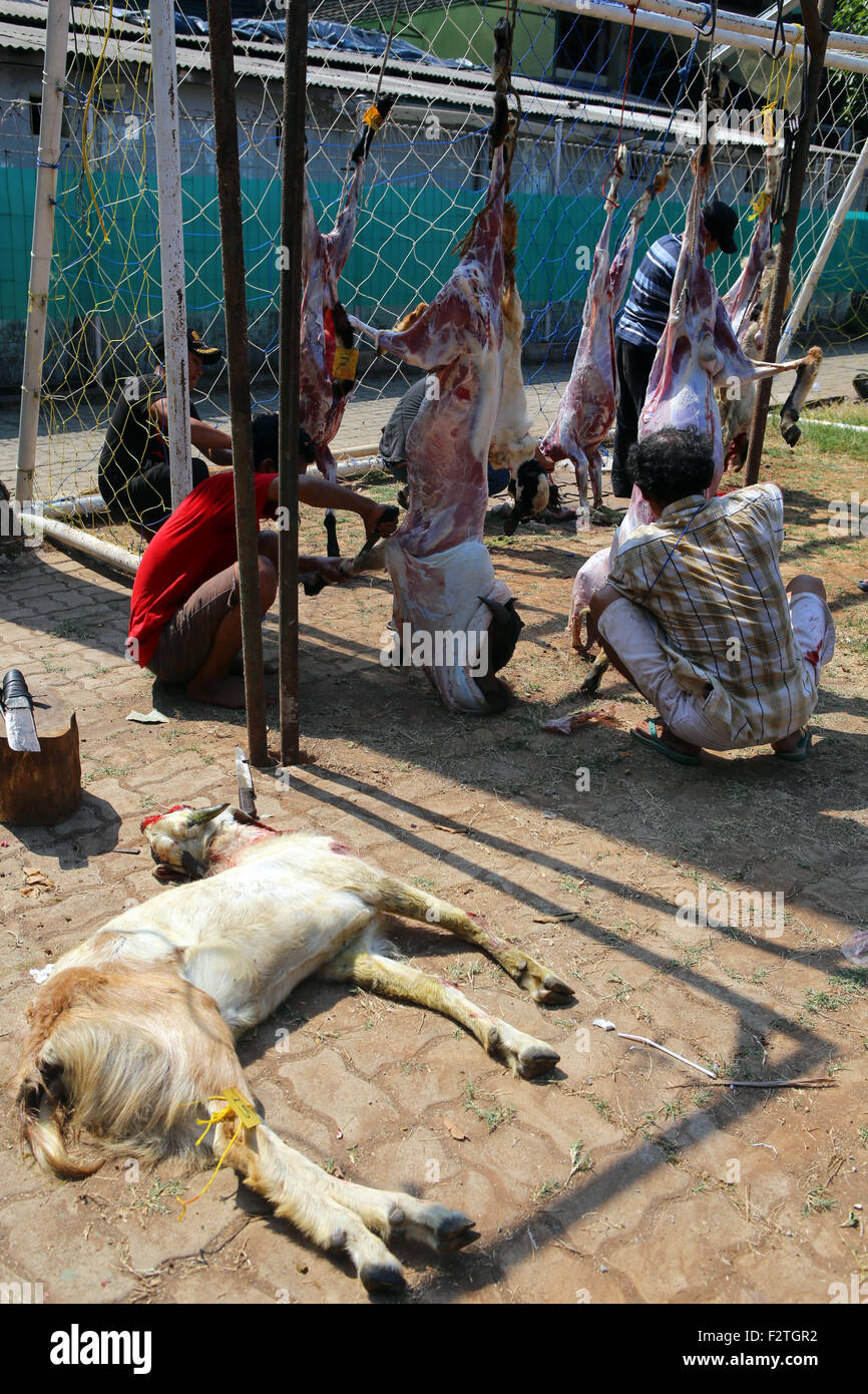 Jakarta, Indonesia. 24th September, 2015. Animal Sacrifice cuts made by ...