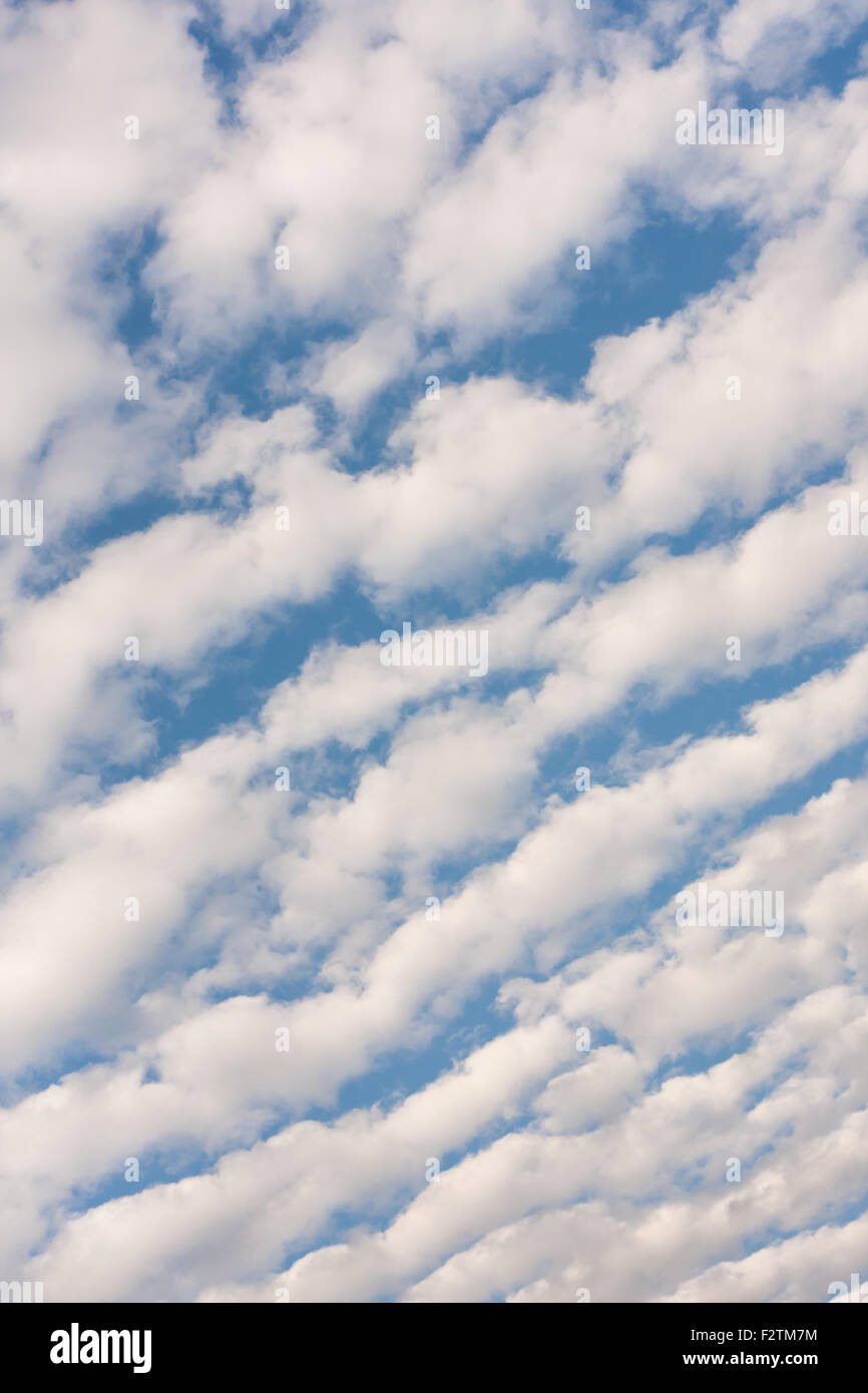 Dense fluffy cirrocumulus clouds formation hi-res stock photography and ...