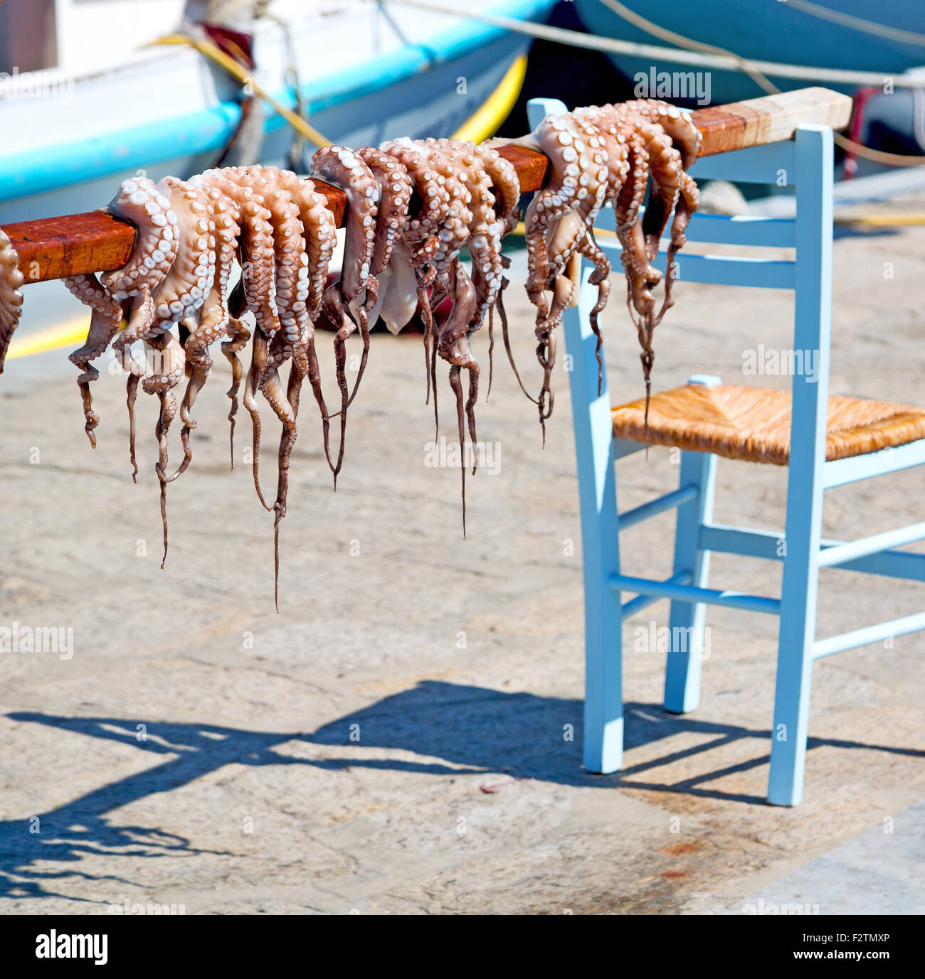 octopus drying in the sun europe greece santorini and light Stock Photo ...
