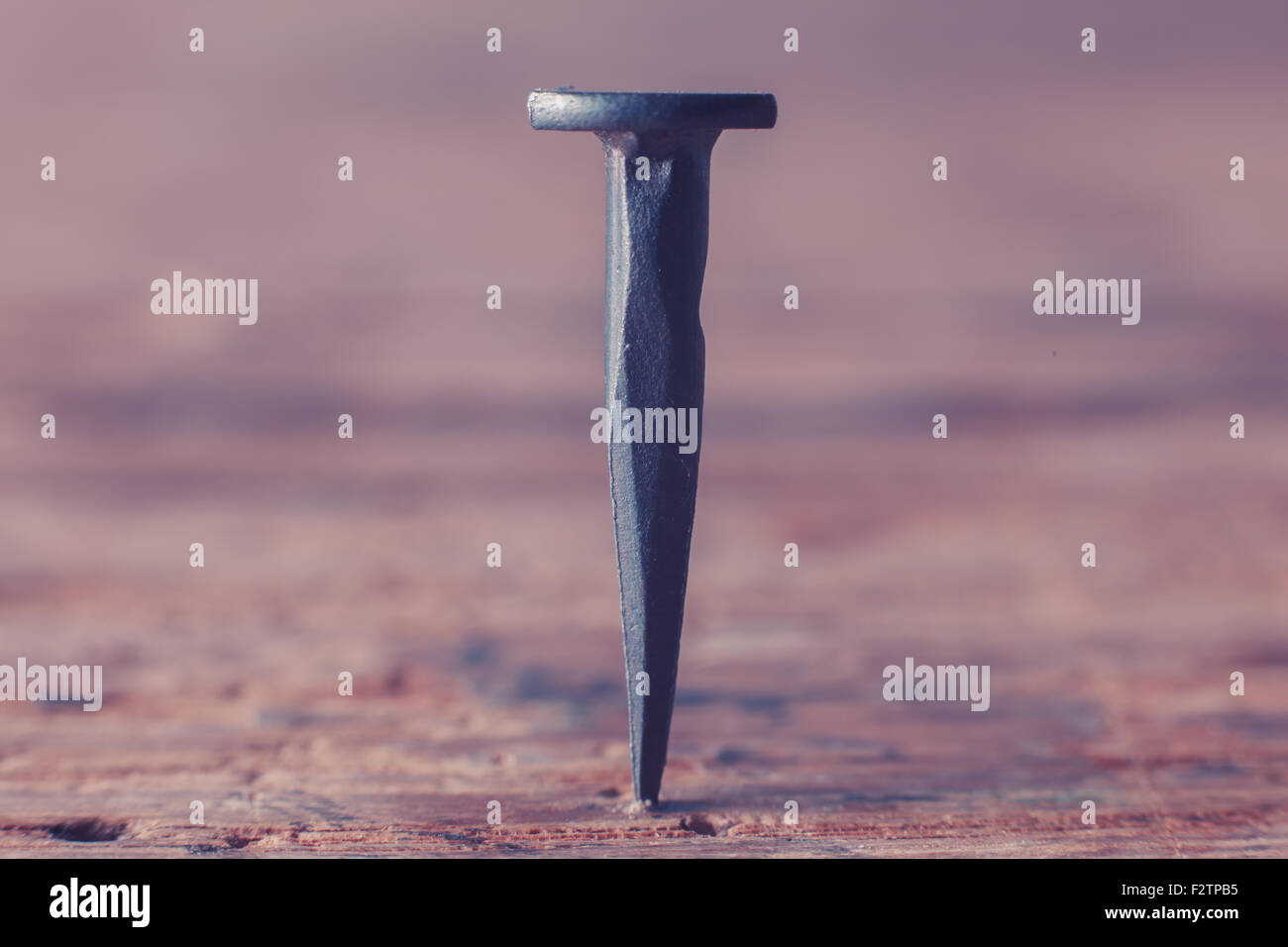 Hammered nail hi-res stock photography and images - Alamy