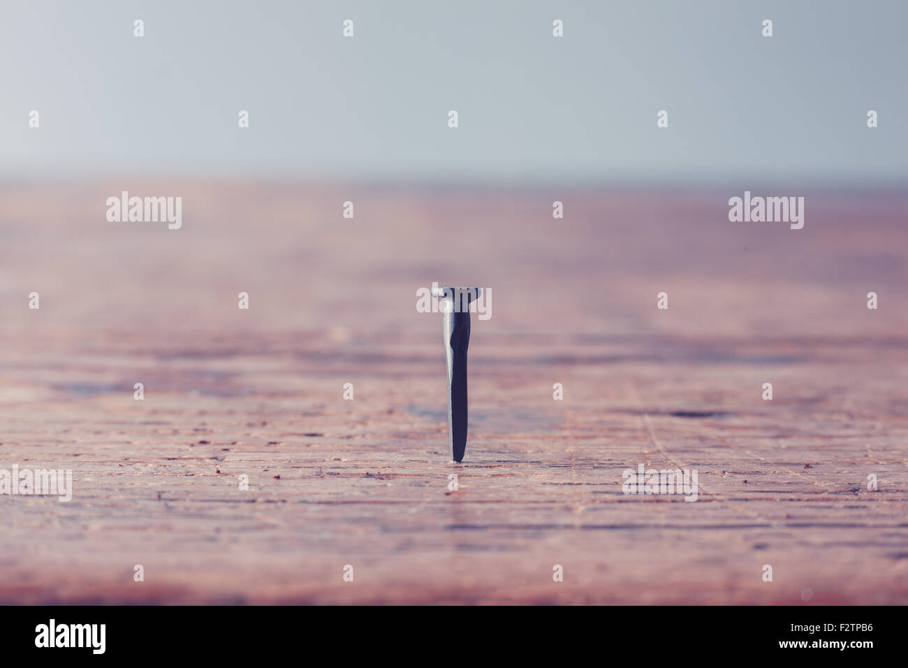 Close up on a nail hammered into a wooden table Stock Photo - Alamy