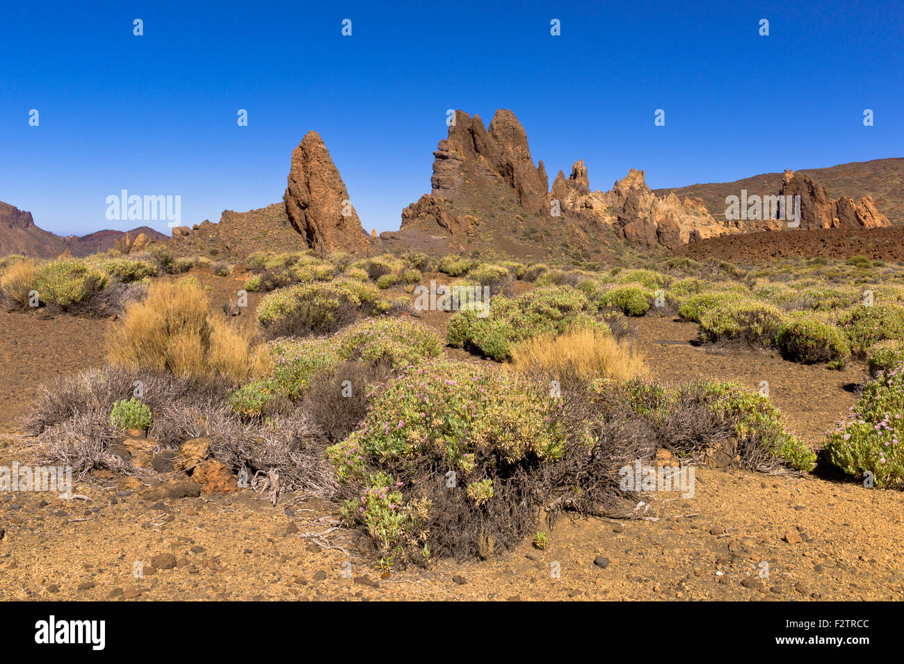 Volcanic chimneys at the foot of the Pico del teide Vulcano,, Tenerife ...