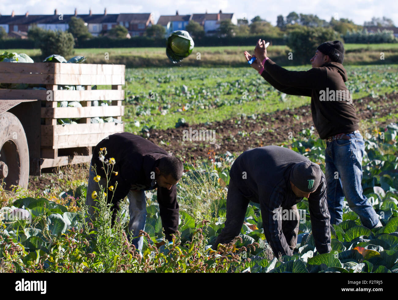 Farm Labourer England High Resolution Stock Photography and Images - Alamy